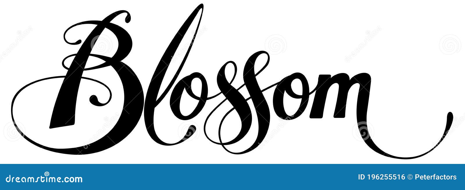 Blossom - Custom Calligraphy Text Stock Vector - Illustration of evolve ...