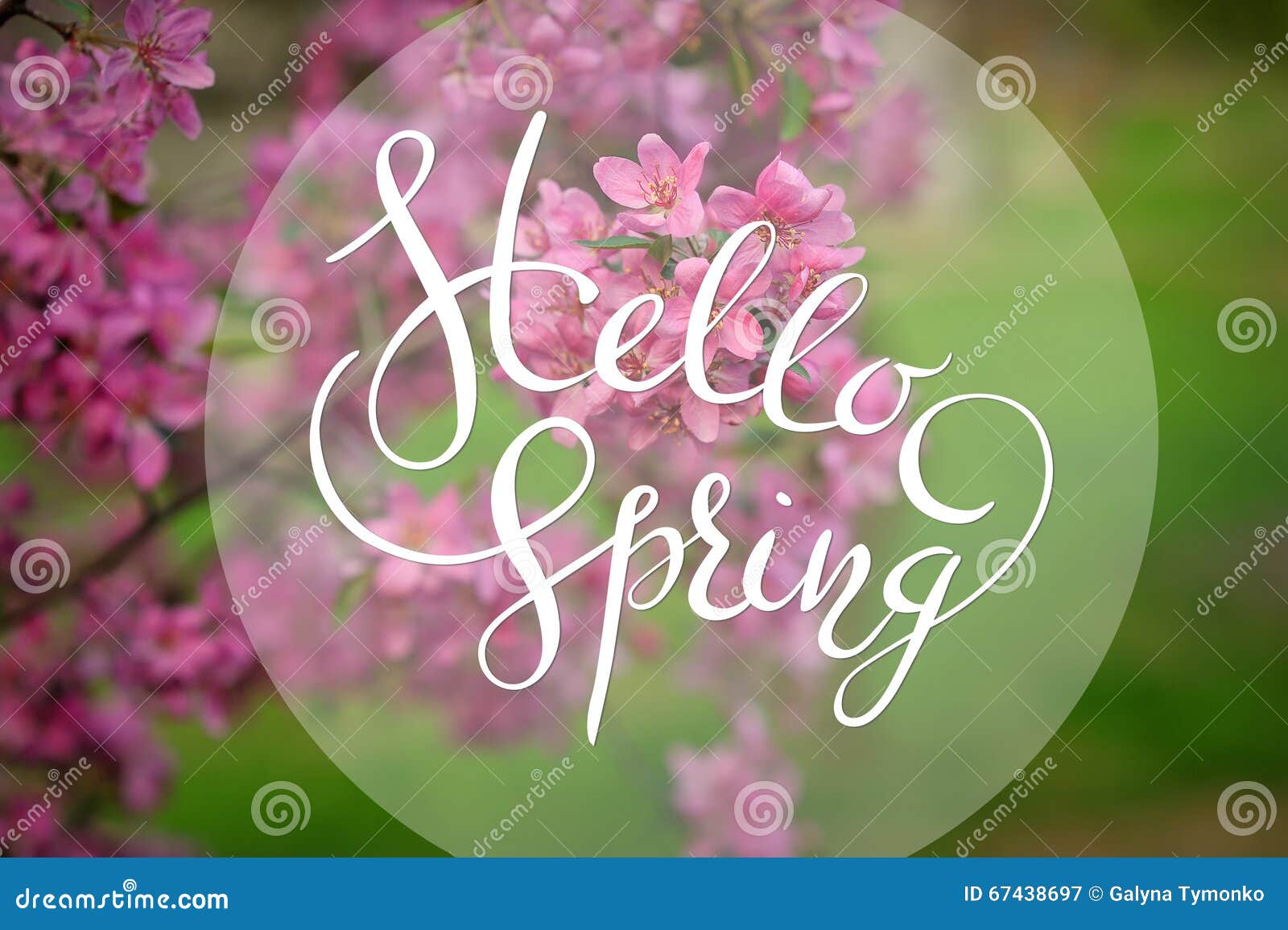 Blossoming Apple-tree on Background of Green Grass with Letters Hello ...