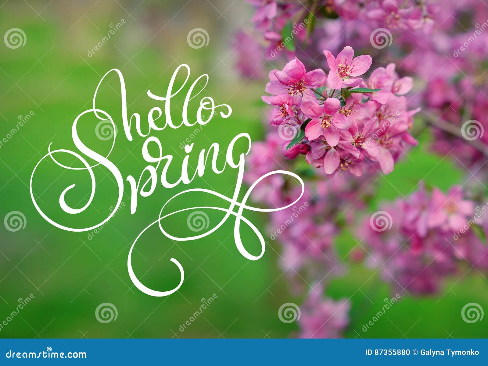 Blossoming Apple-tree on a Background of Green Grass and Text Hello ...