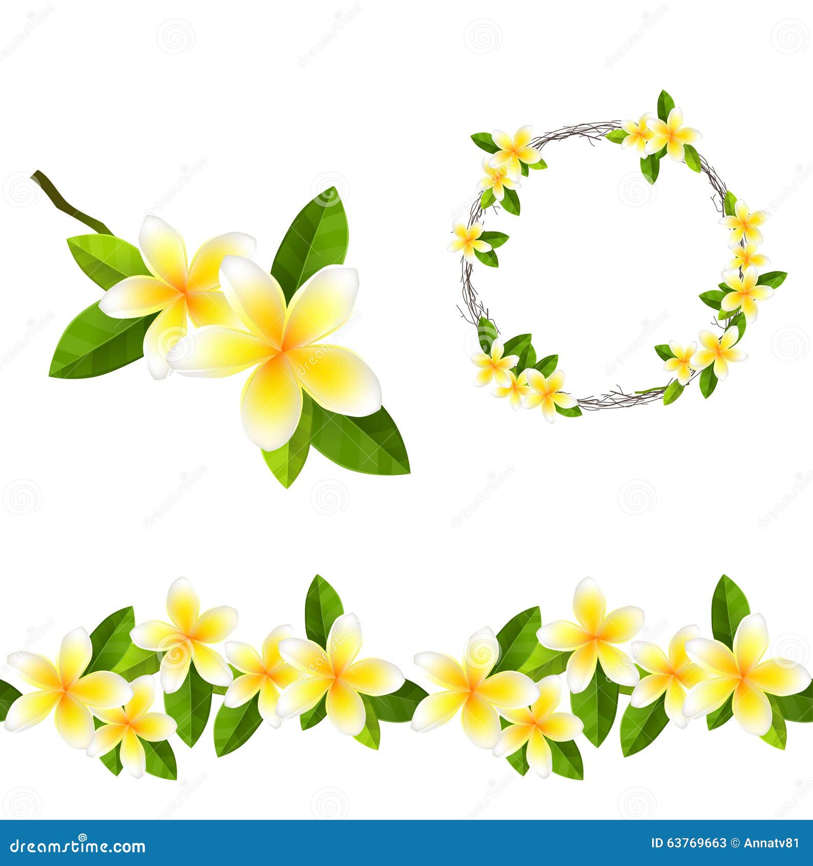 Blossoming Branch of Frangipani Tree. Stock Illustration - Illustration ...