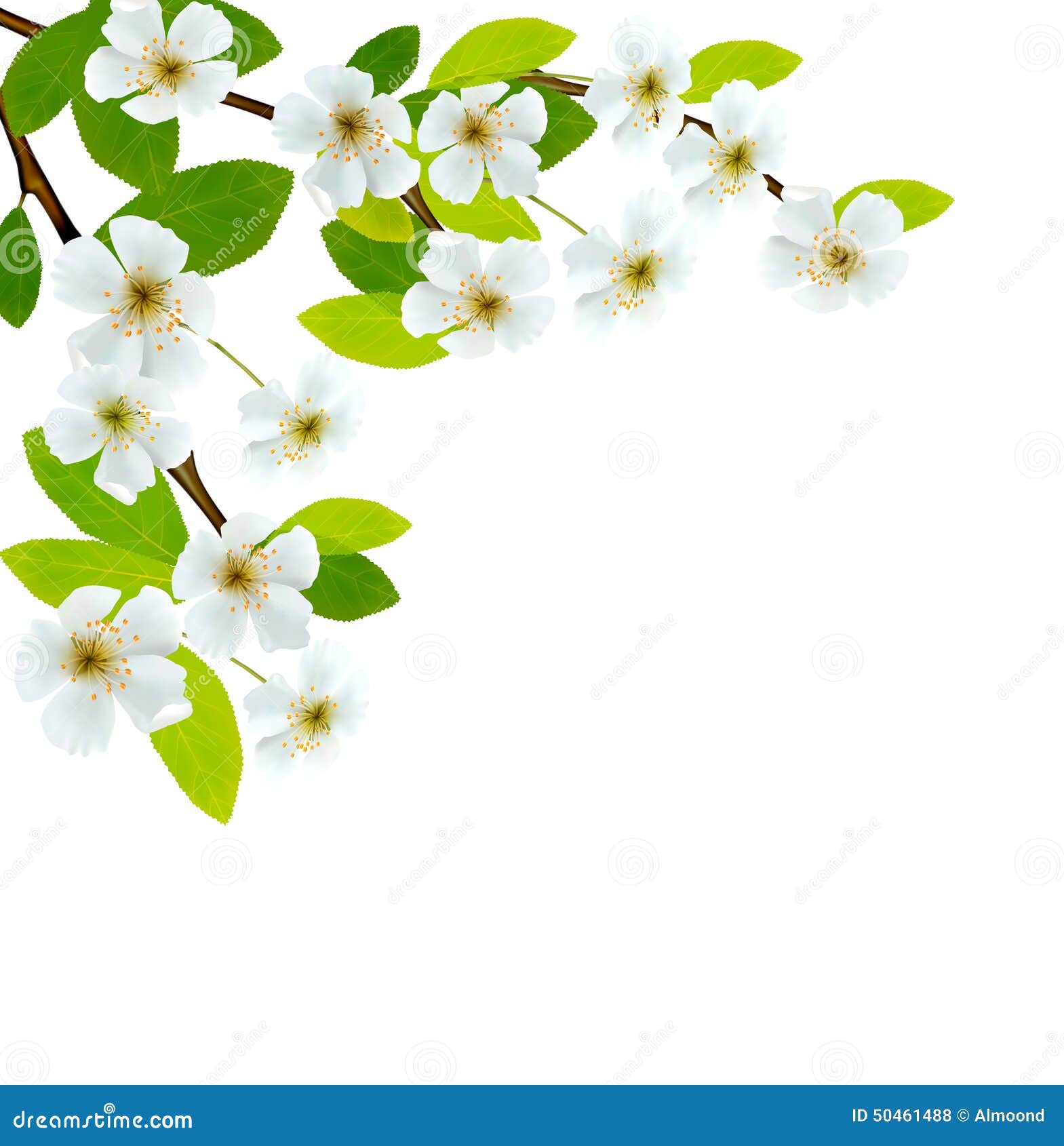 Blossoming Tree Brunch with Spring Flowers. Stock Vector - Illustration ...