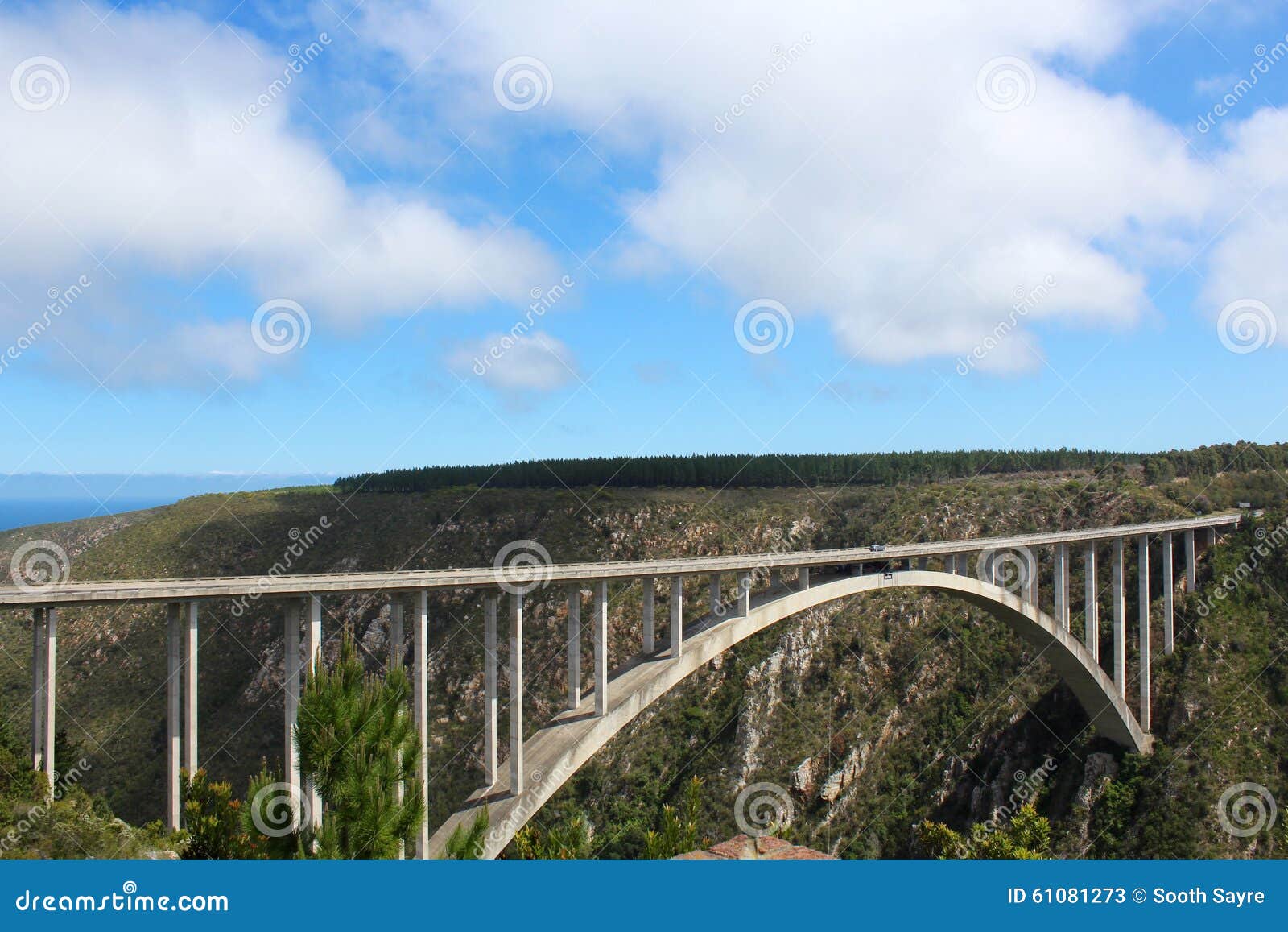 Bloukransbrug stock afbeelding. Image of afrika, bungee - 61081273