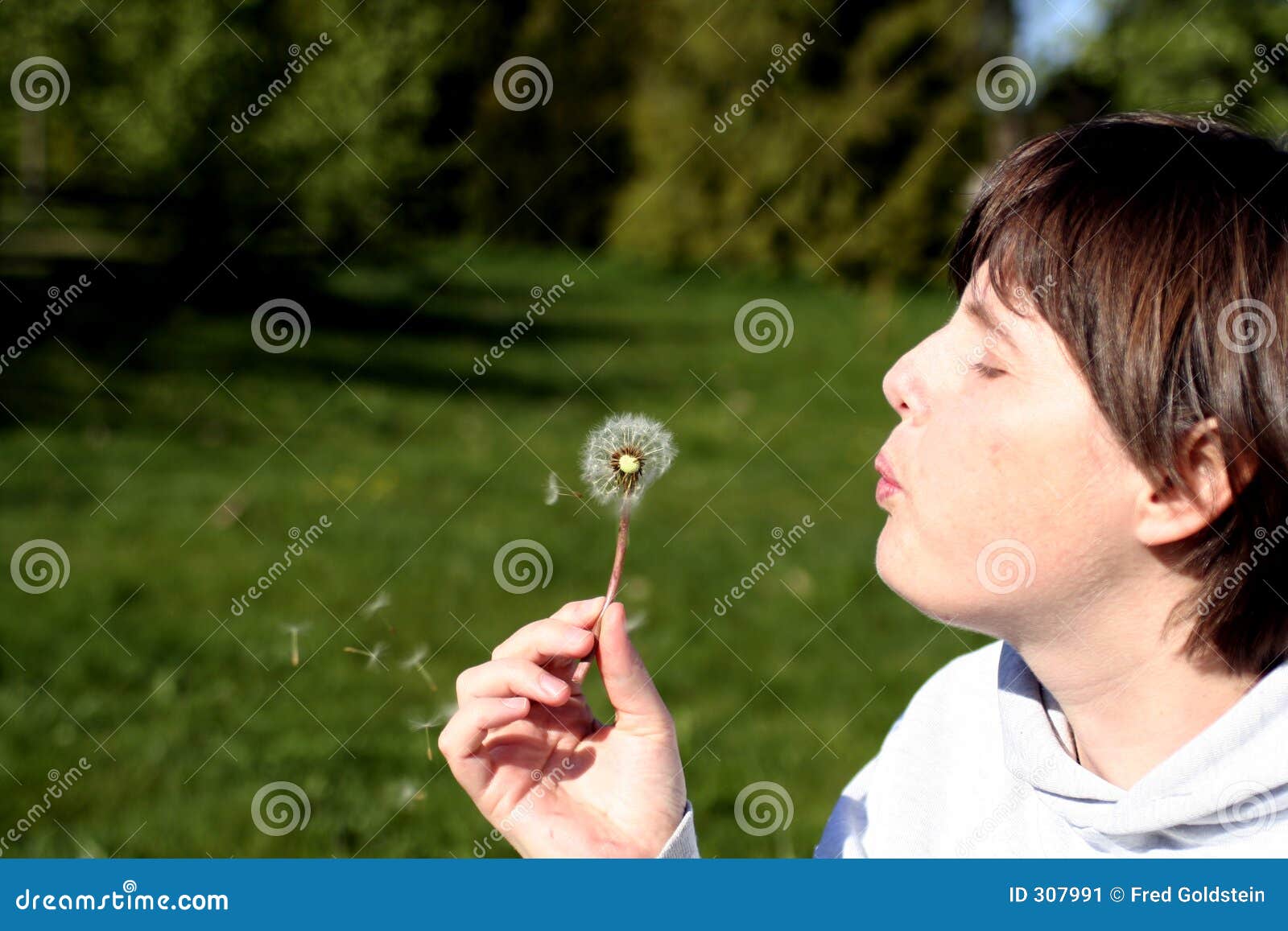 Blow stock image. Image of people, girl, flower, blowing - 307991