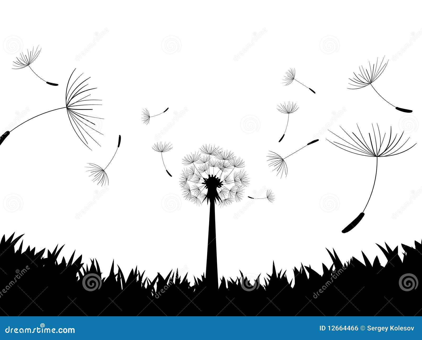 Blow Dandelion. Directly Below. Vector Royalty Free Stock Image - Image ...