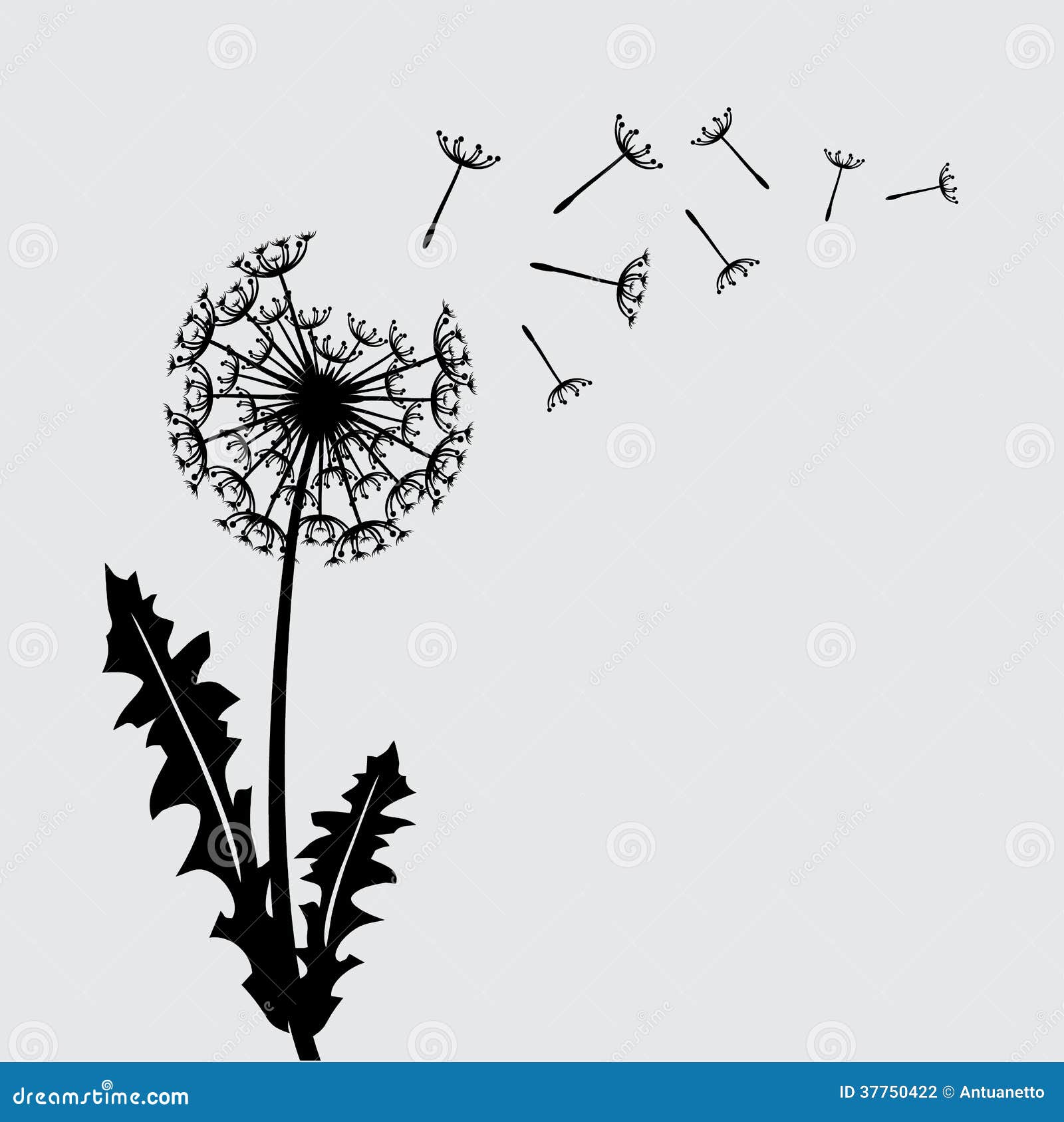 Blow Dandelion Vector Background Stock Photography - Image: 37750422