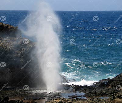 Blowhole stock image. Image of spray, hawaii, hole, blow - 1012465