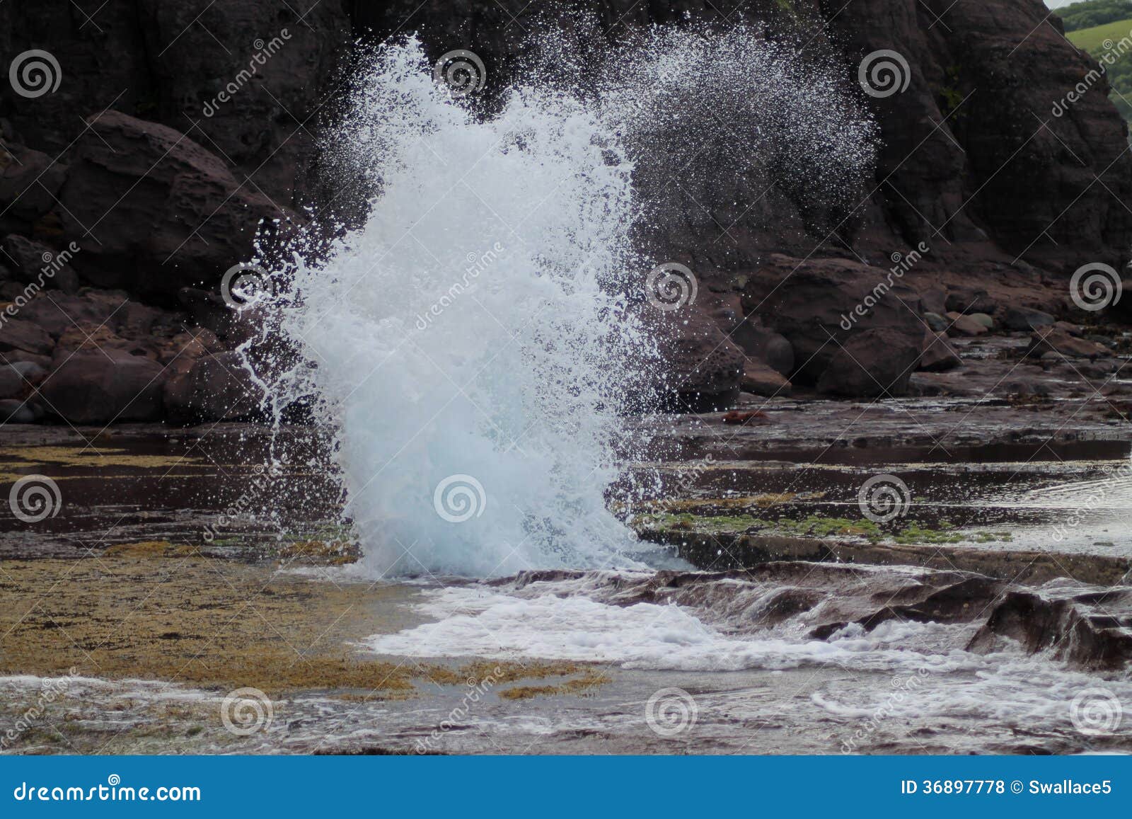 Blowhole stock photo. Image of exploding, foam, australia - 36897778