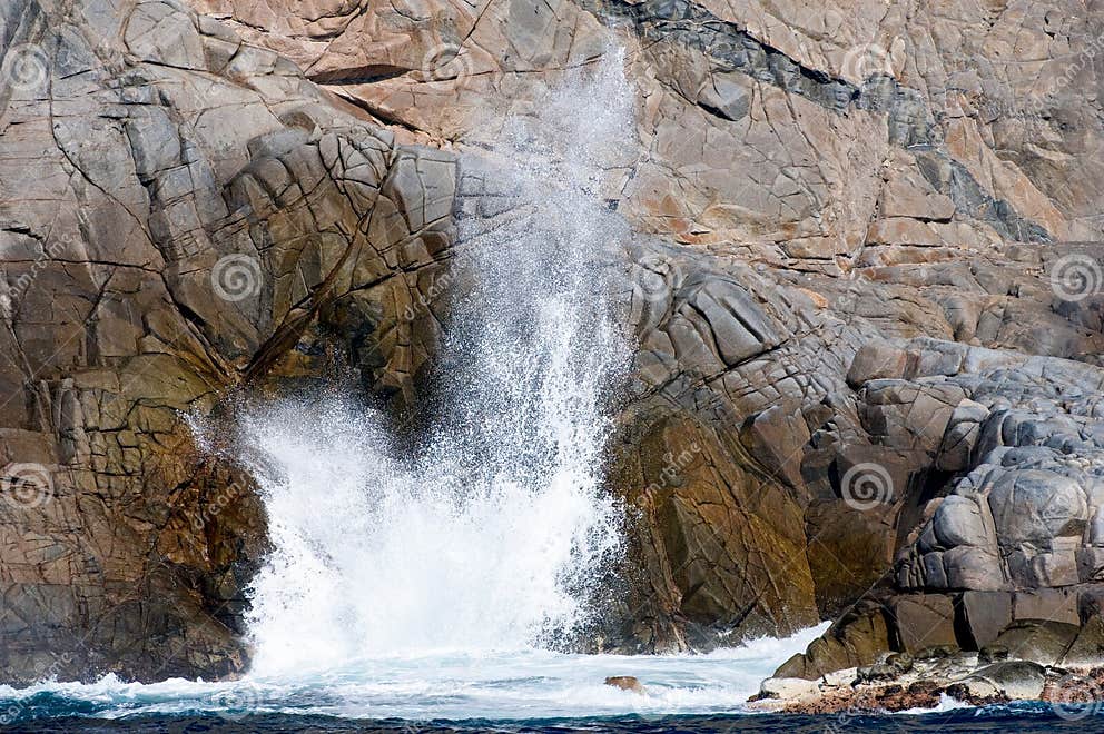 Blowhole spouting water stock image. Image of spouting - 7351217