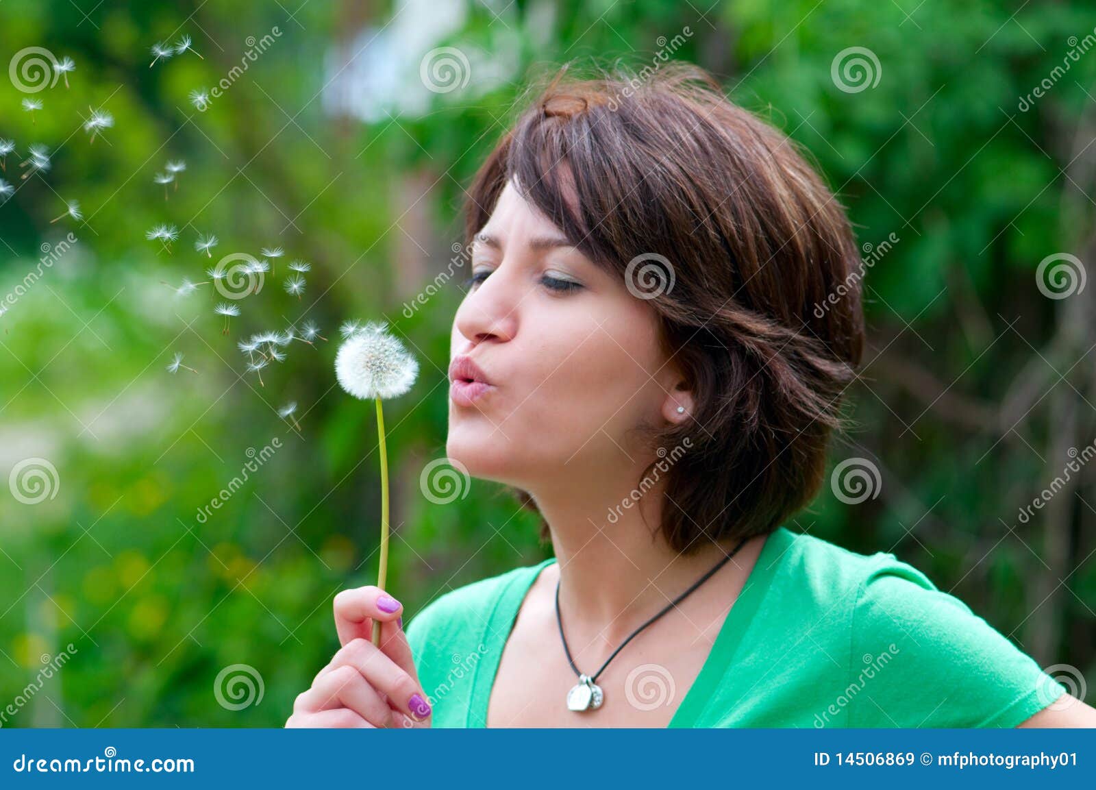 Blowing a dandelion stock image. Image of spring, wallpaper - 14506869