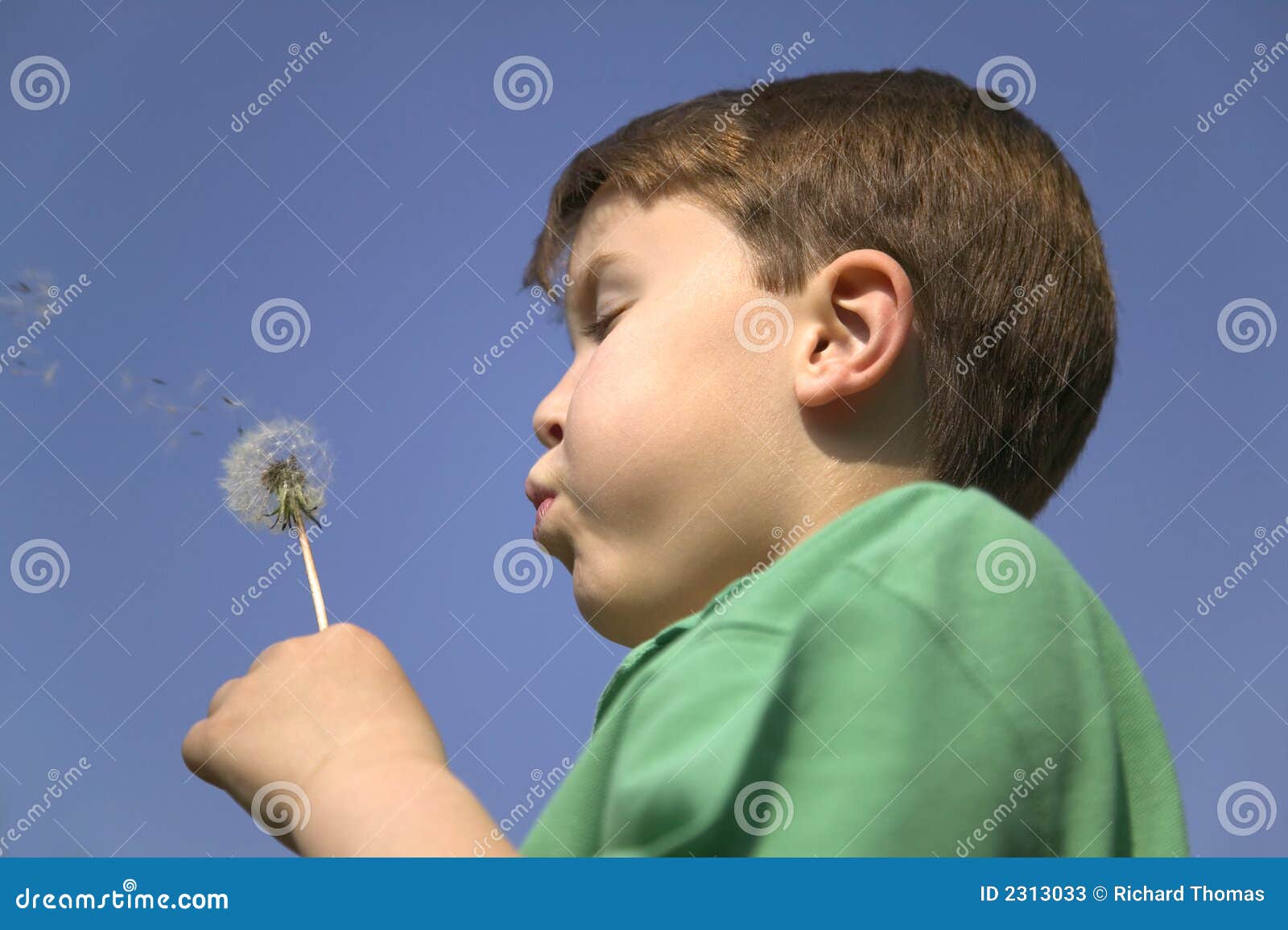Blowing a dandelion stock image. Image of children, cute - 2313033