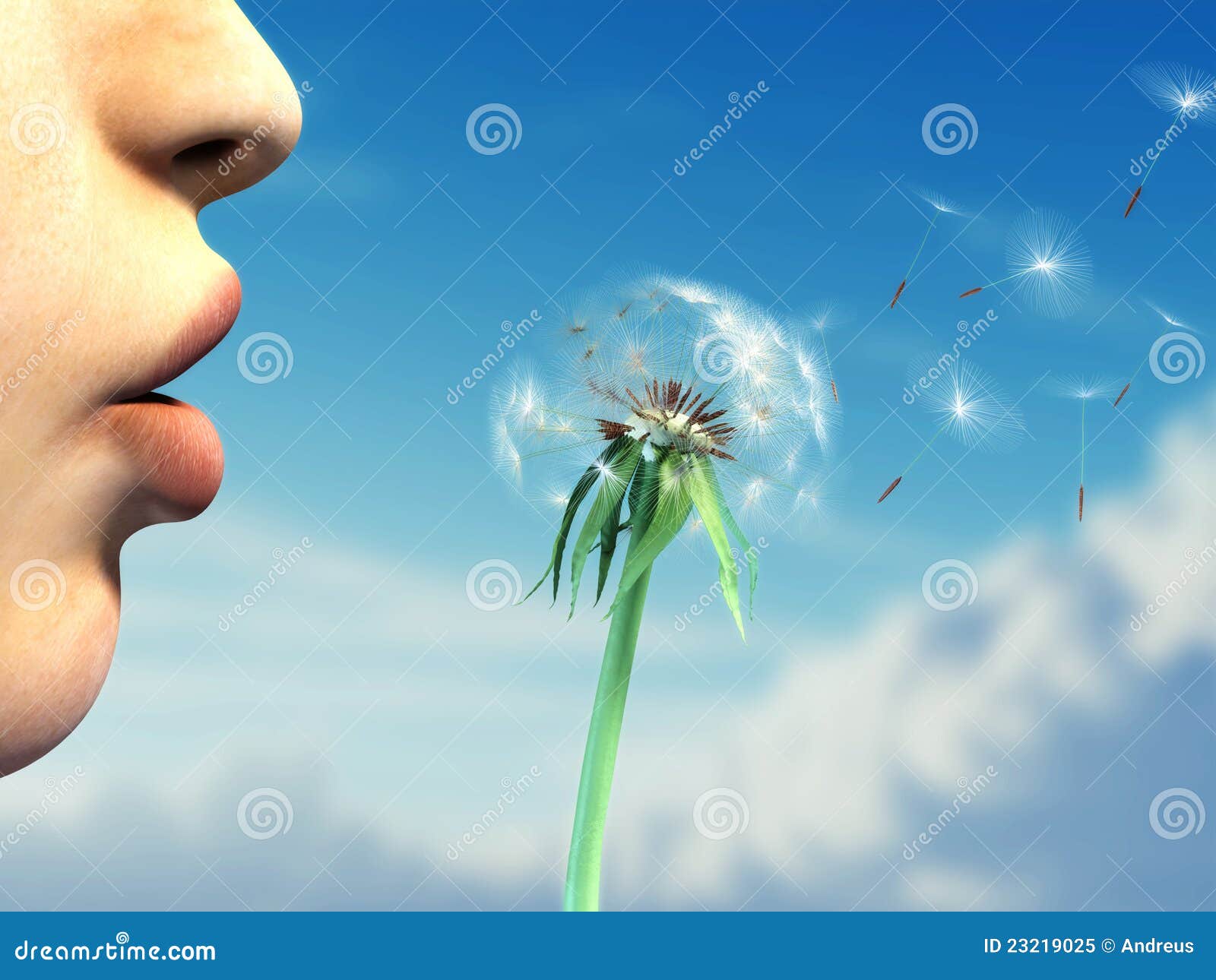 Blowing on a dandelion stock image. Image of blow, dream - 23219025