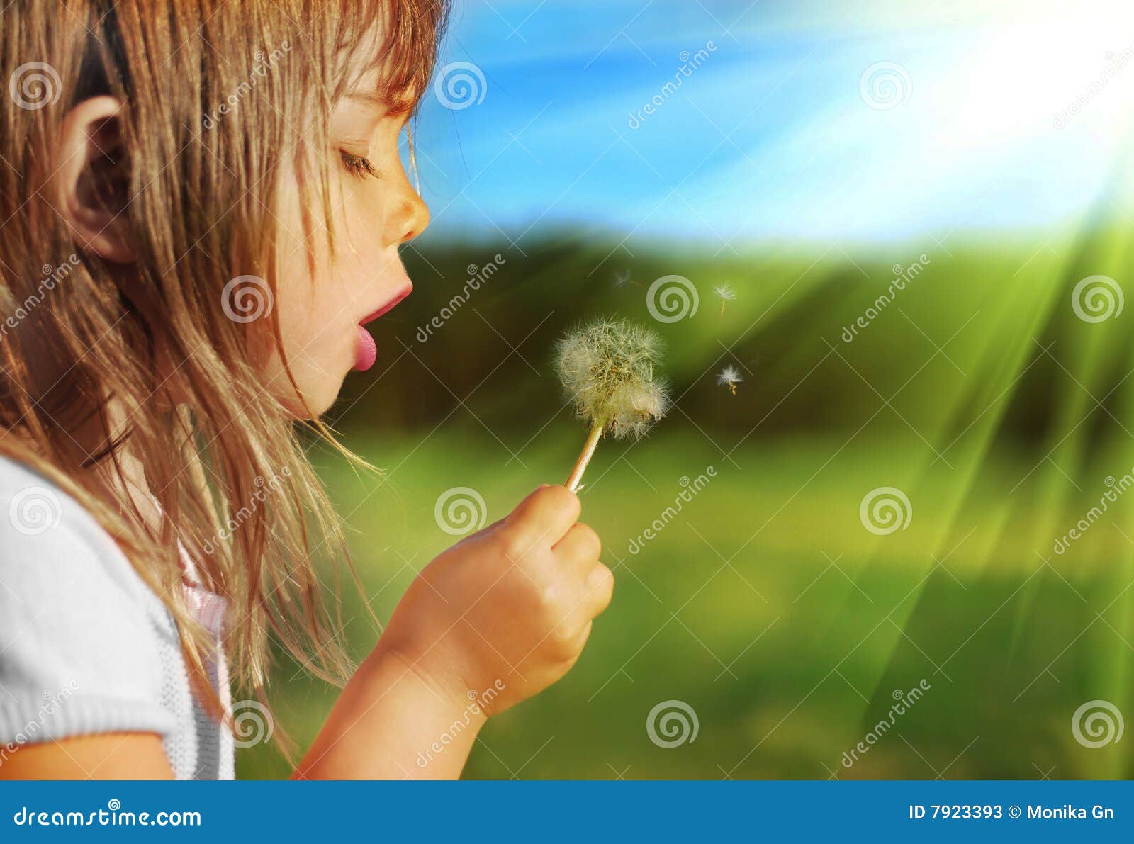 Blowing dandelion stock image. Image of innocence, candid - 7923393