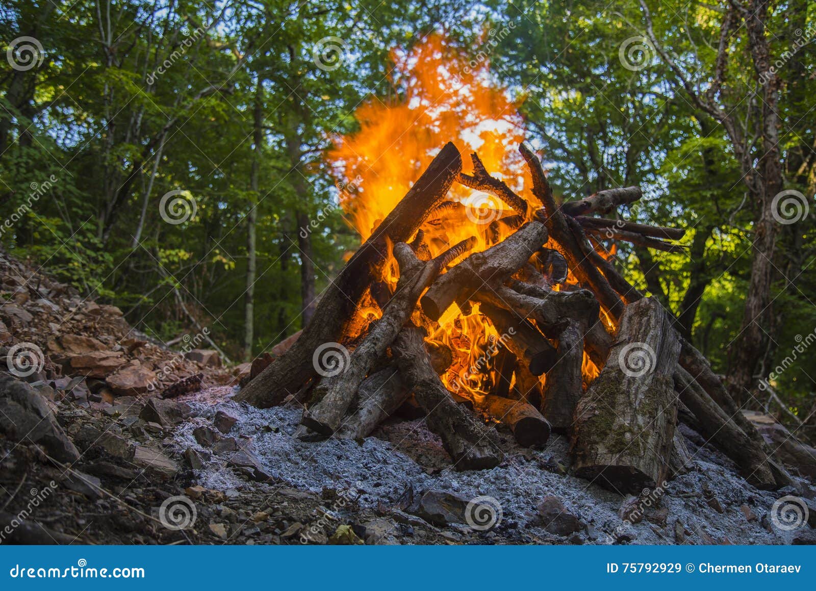 Blowing on Flaming Trees during a Forest Fire. Stock Image - Image of ...
