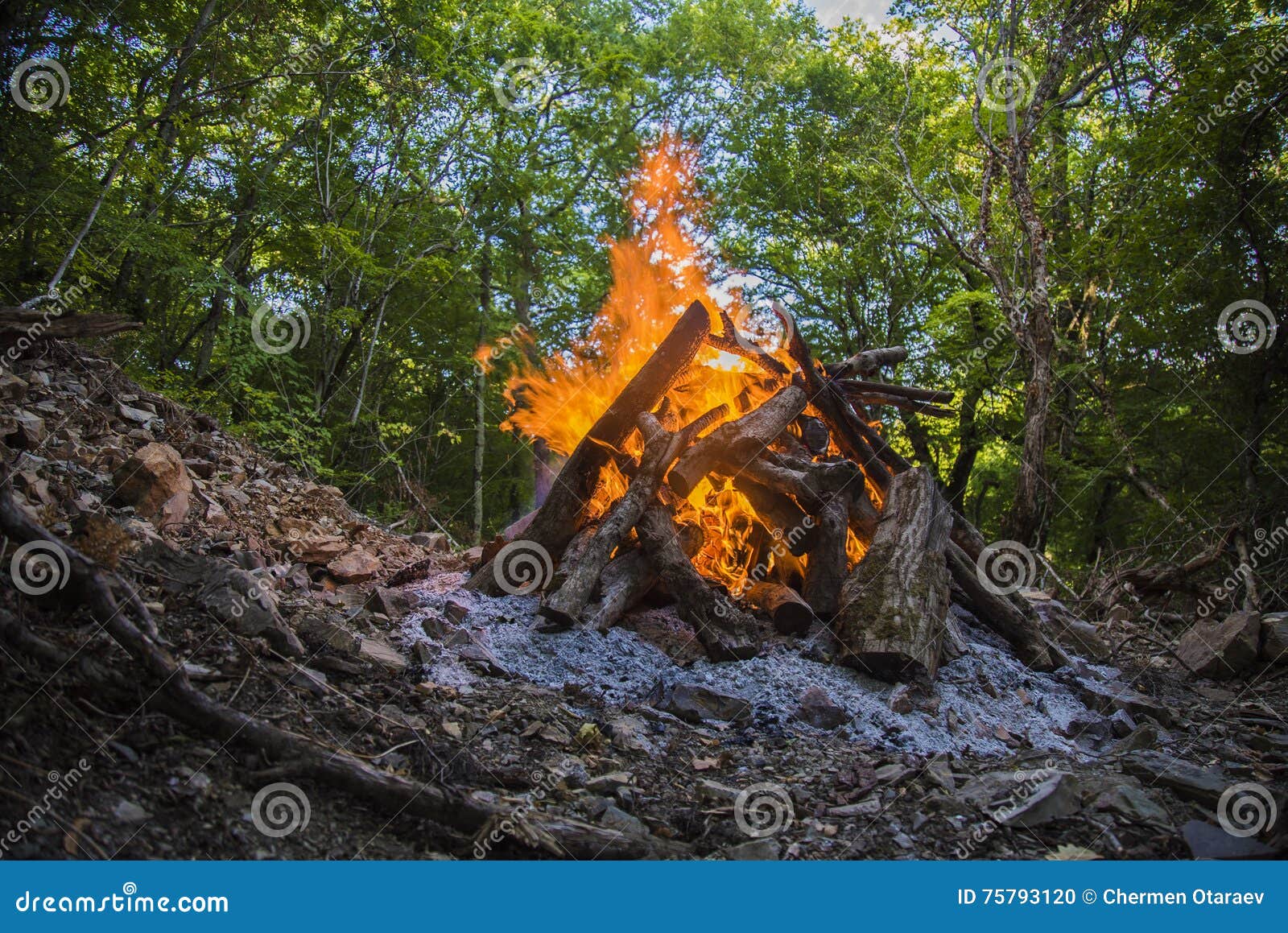 Blowing on Flaming Trees during a Forest Fire. Stock Photo - Image of ...