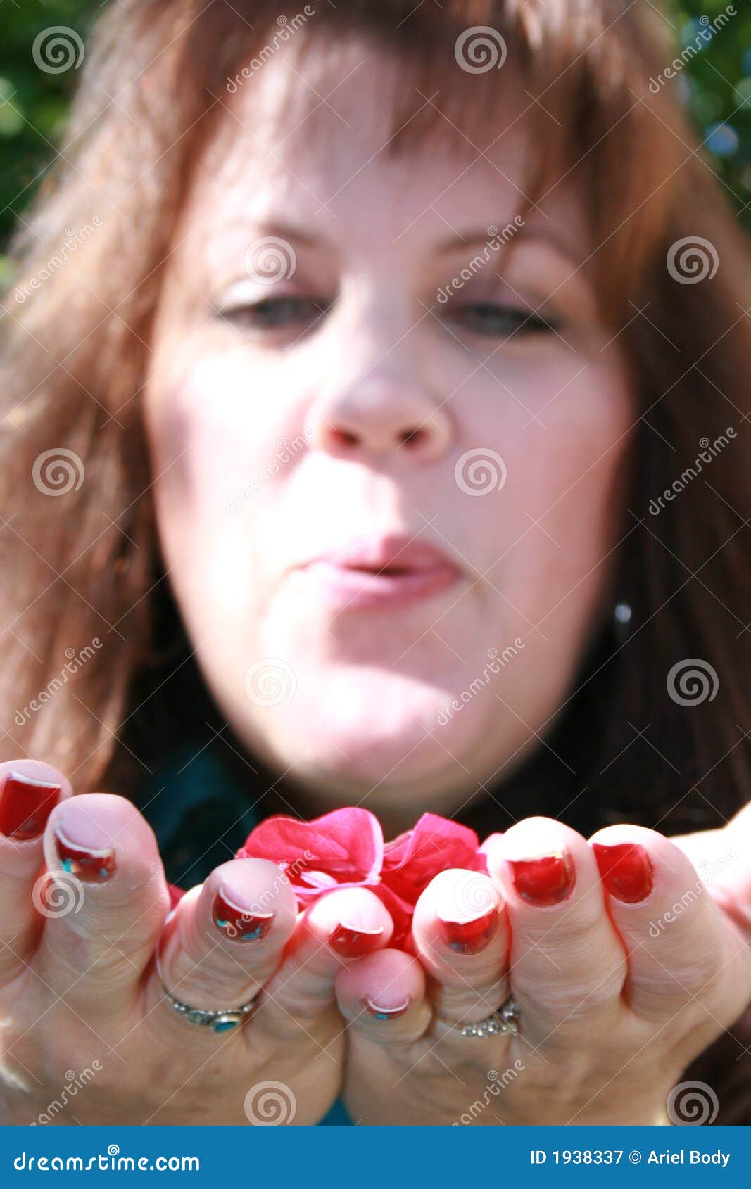 Blowing Flower Petals stock image. Image of plant, blow - 1938337