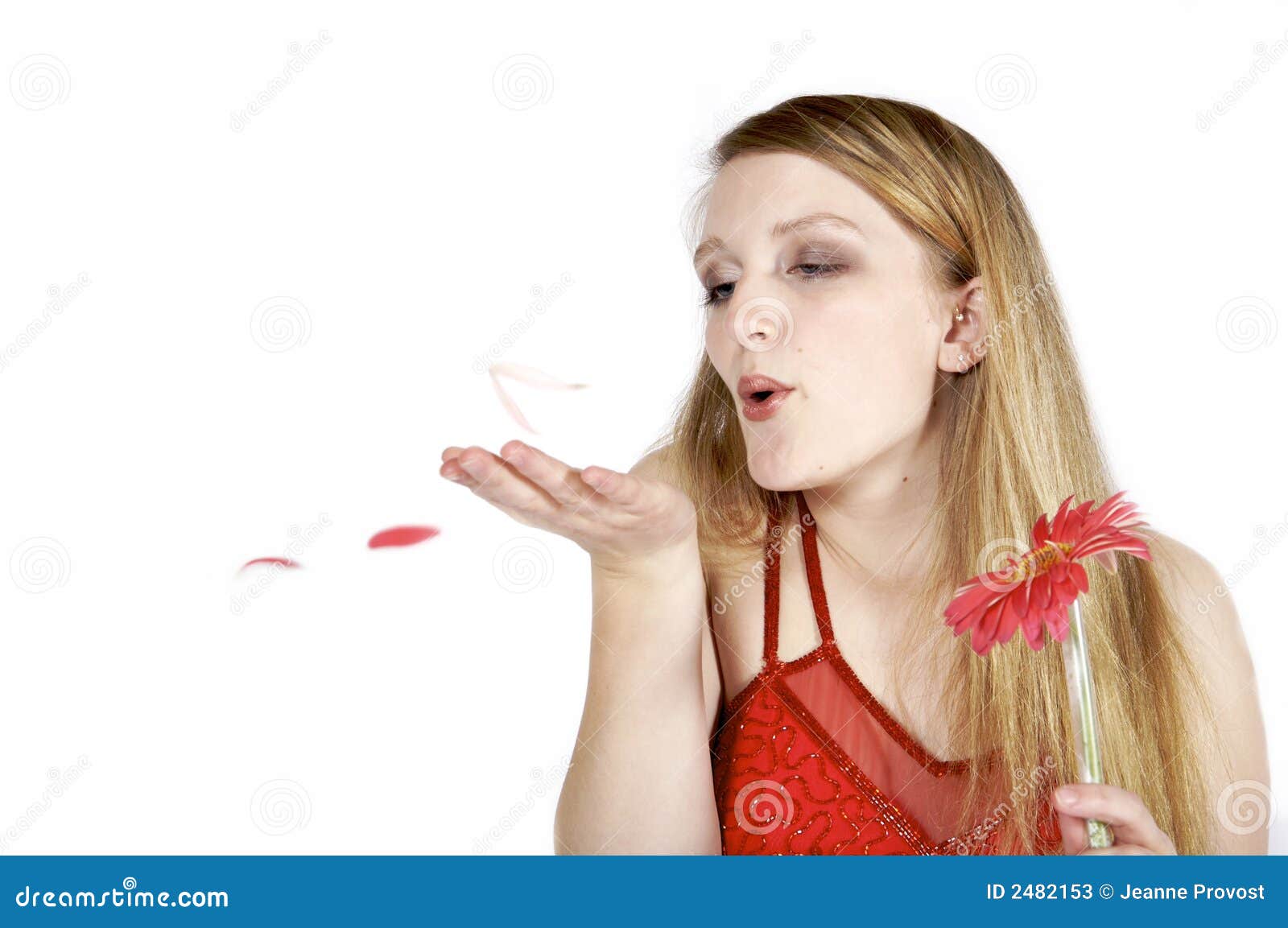 Blowing Petals Picture. Image: 2482153