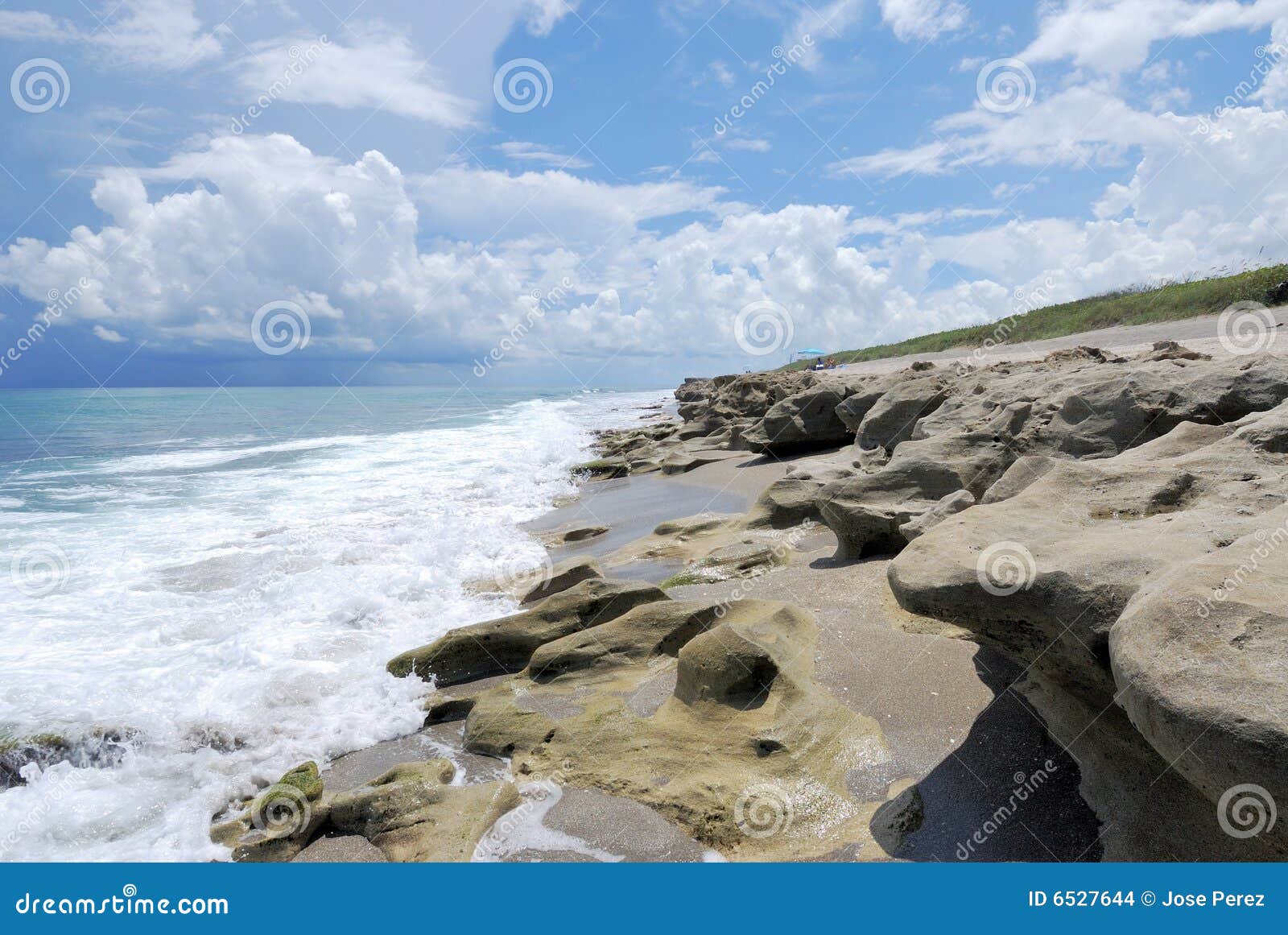 Blowing Rocks Preserve stock photo. Image of tropical - 6527644