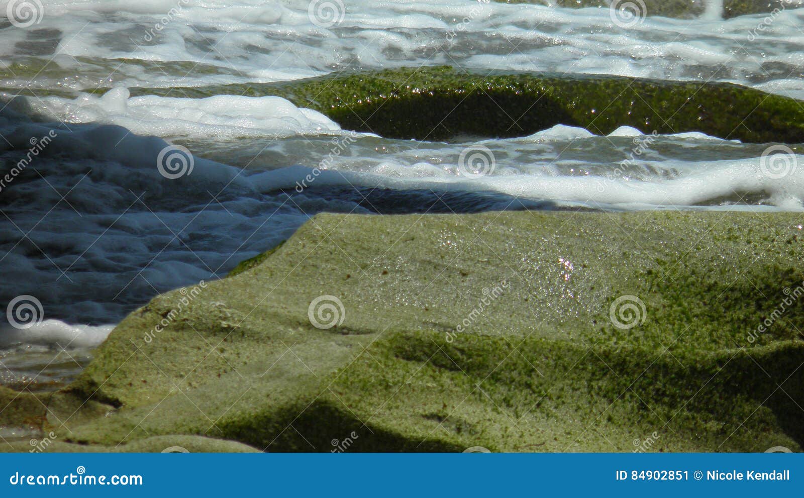 Blowing rocks state park stock image. Image of state - 84902851
