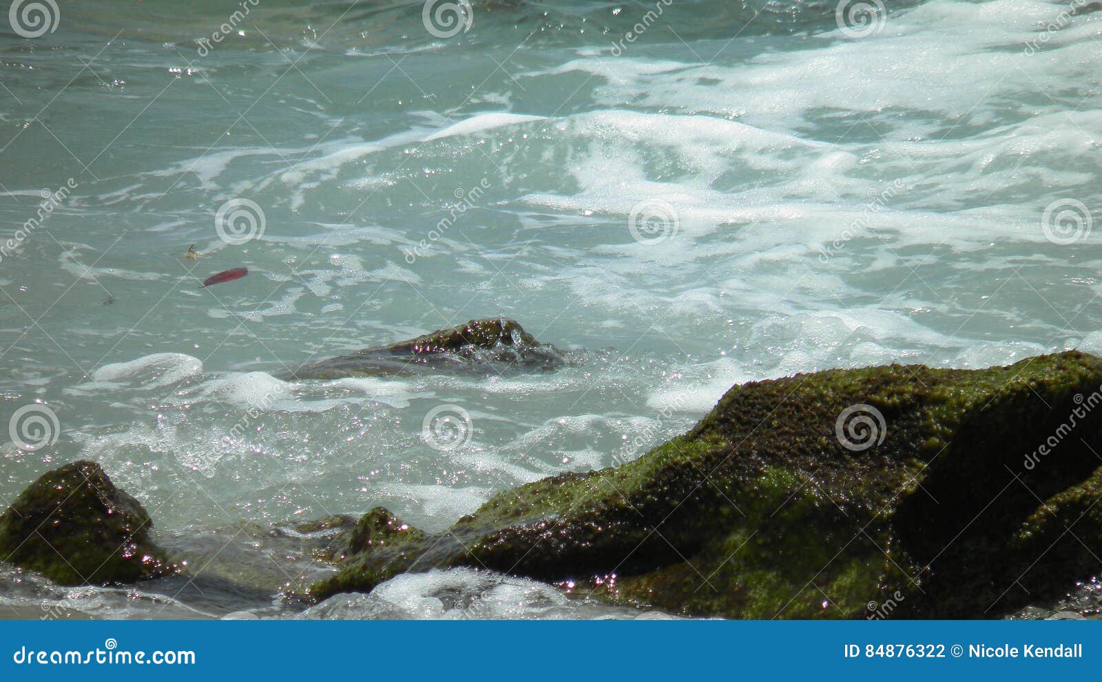 Blowing rocks state park stock photo. Image of rock, park - 84876322