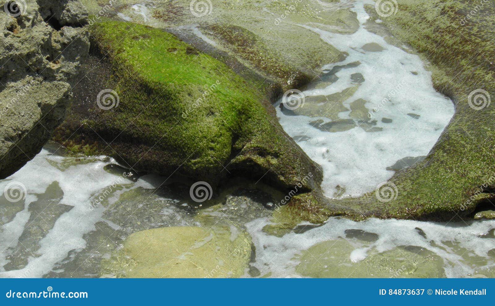 Blowing rocks state park stock image. Image of state - 84873637