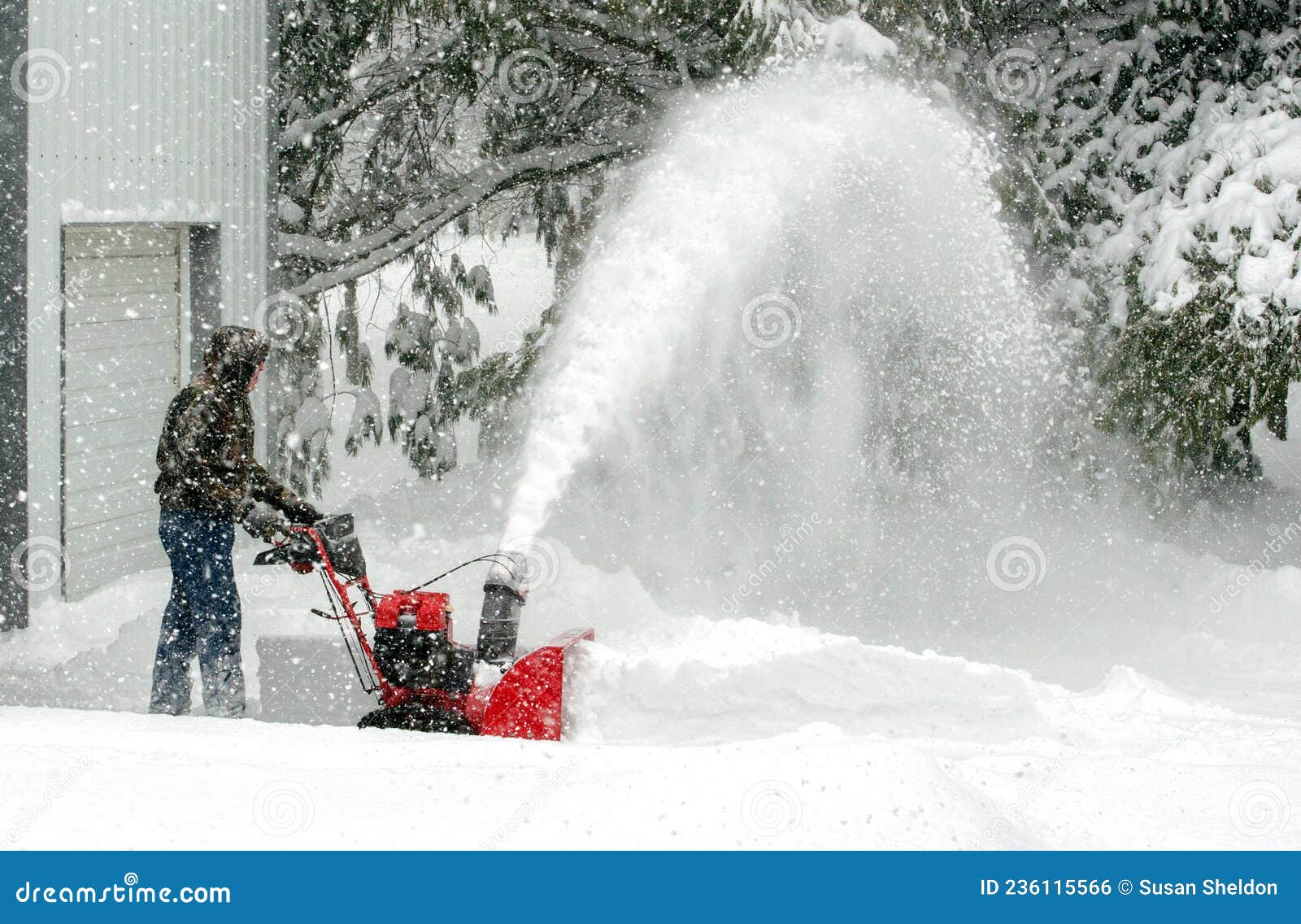 Blowing Snow on a Cold Winters Day Stock Photo - Image of blowing ...