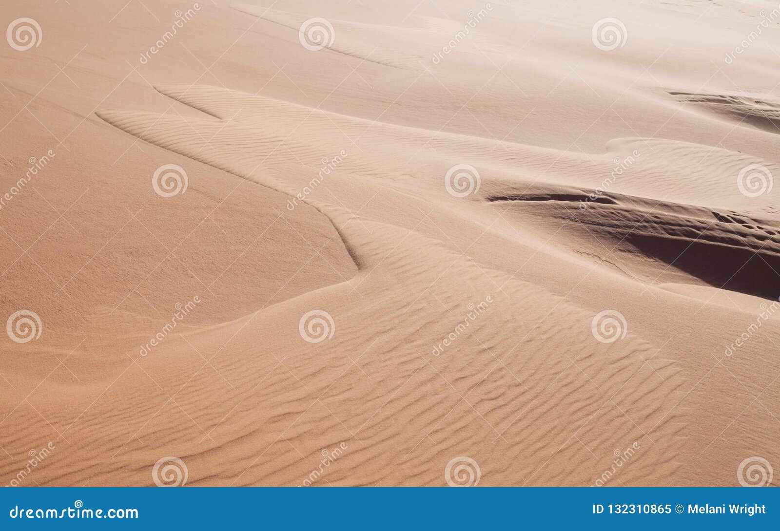The Blowing Wind Creates Patterns in the Sand at Coral Pink Sand Dunes ...
