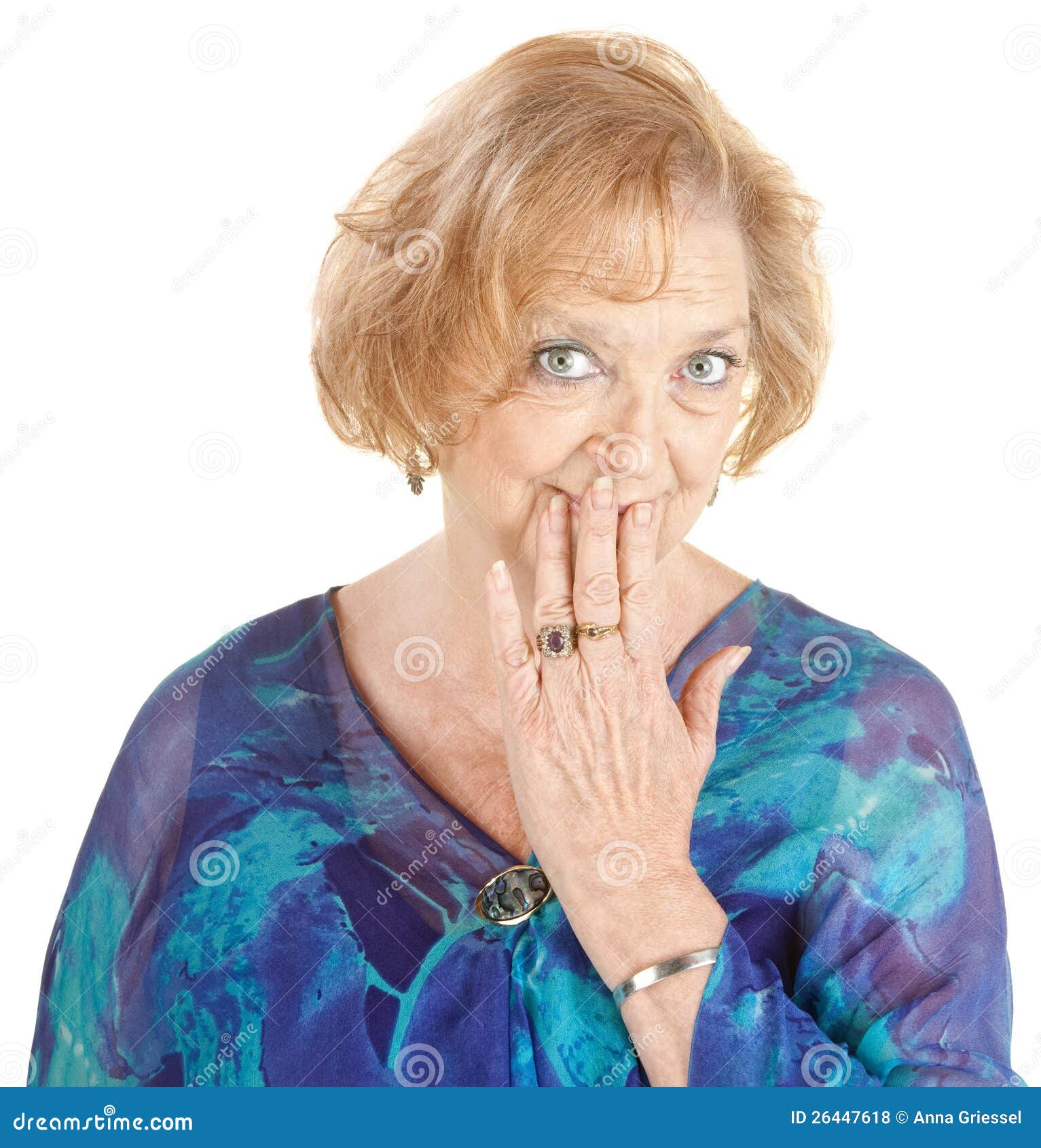 Blozende Grootmoeder stock foto. Image of bekleding, volwassen - 26447618