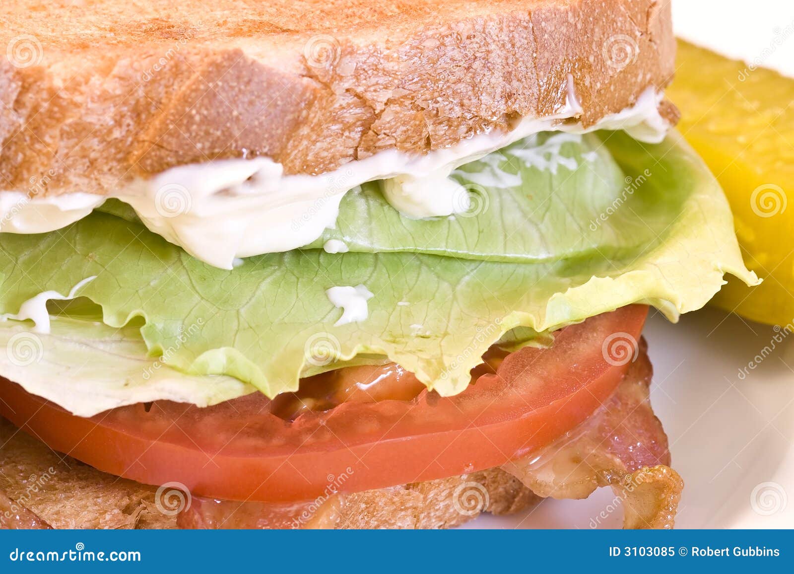 Blt Picture. Image: 3103085
