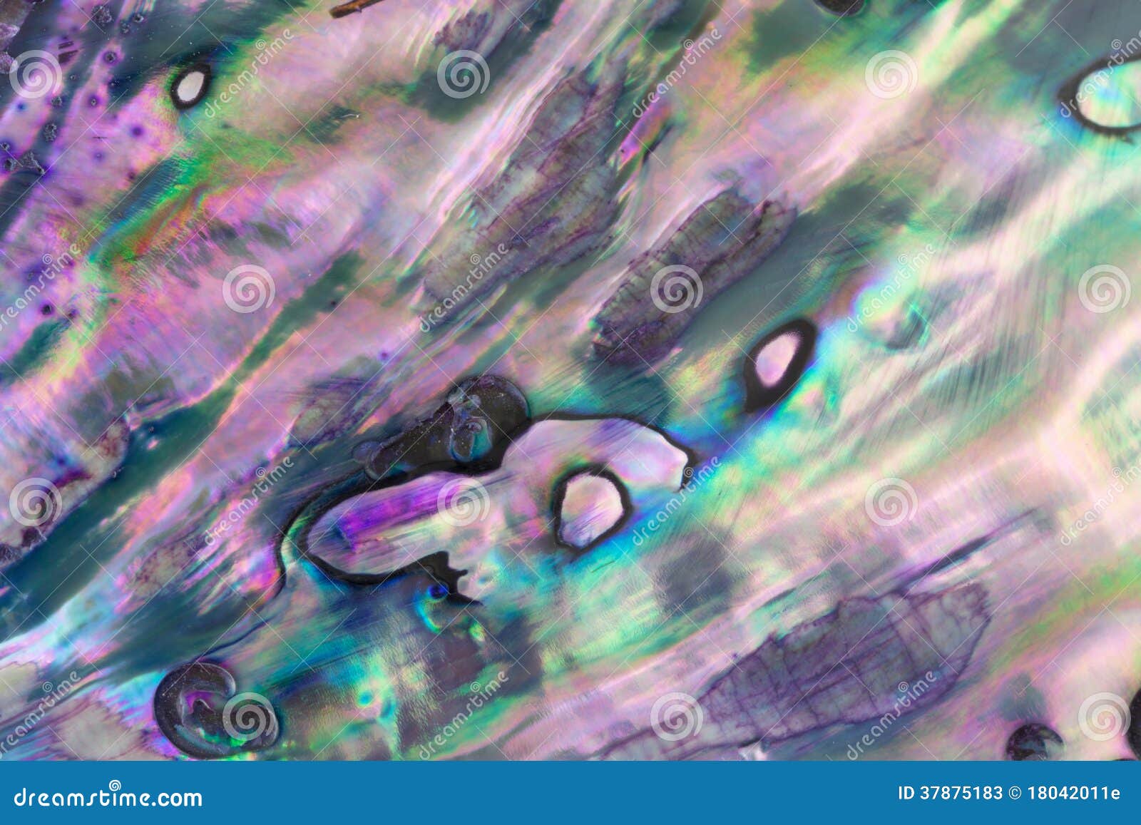 Blue Abalone Pearl Shell, Close Up Stock Image - Image of pattern ...
