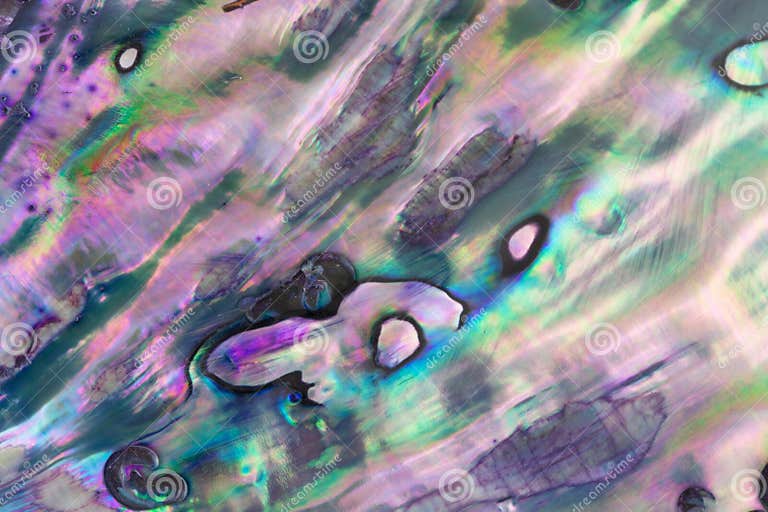 Blue Abalone Pearl Shell, Close Up Stock Image - Image of pattern ...