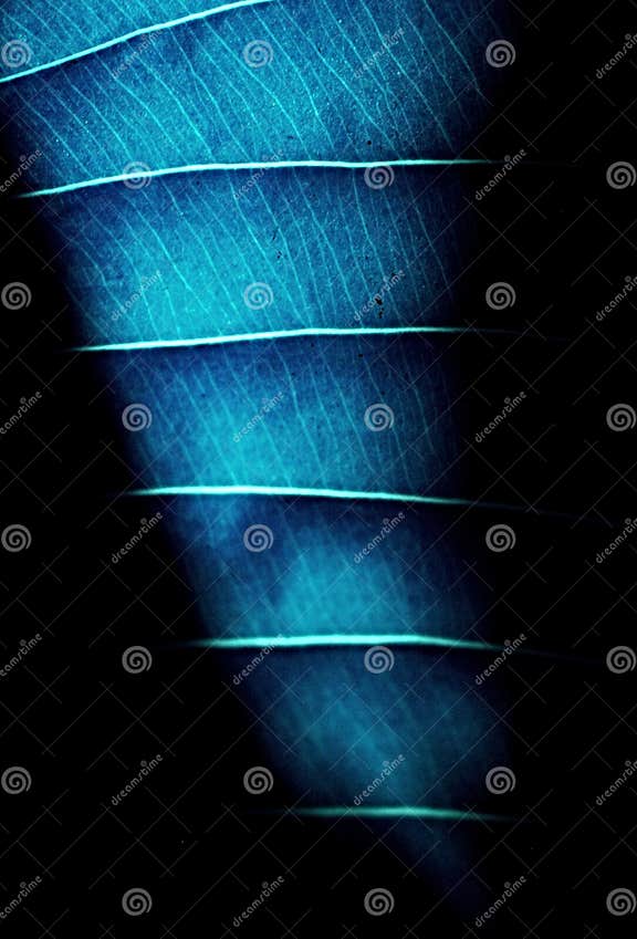 Blue abstract object stock image. Image of painted, blue - 42674061
