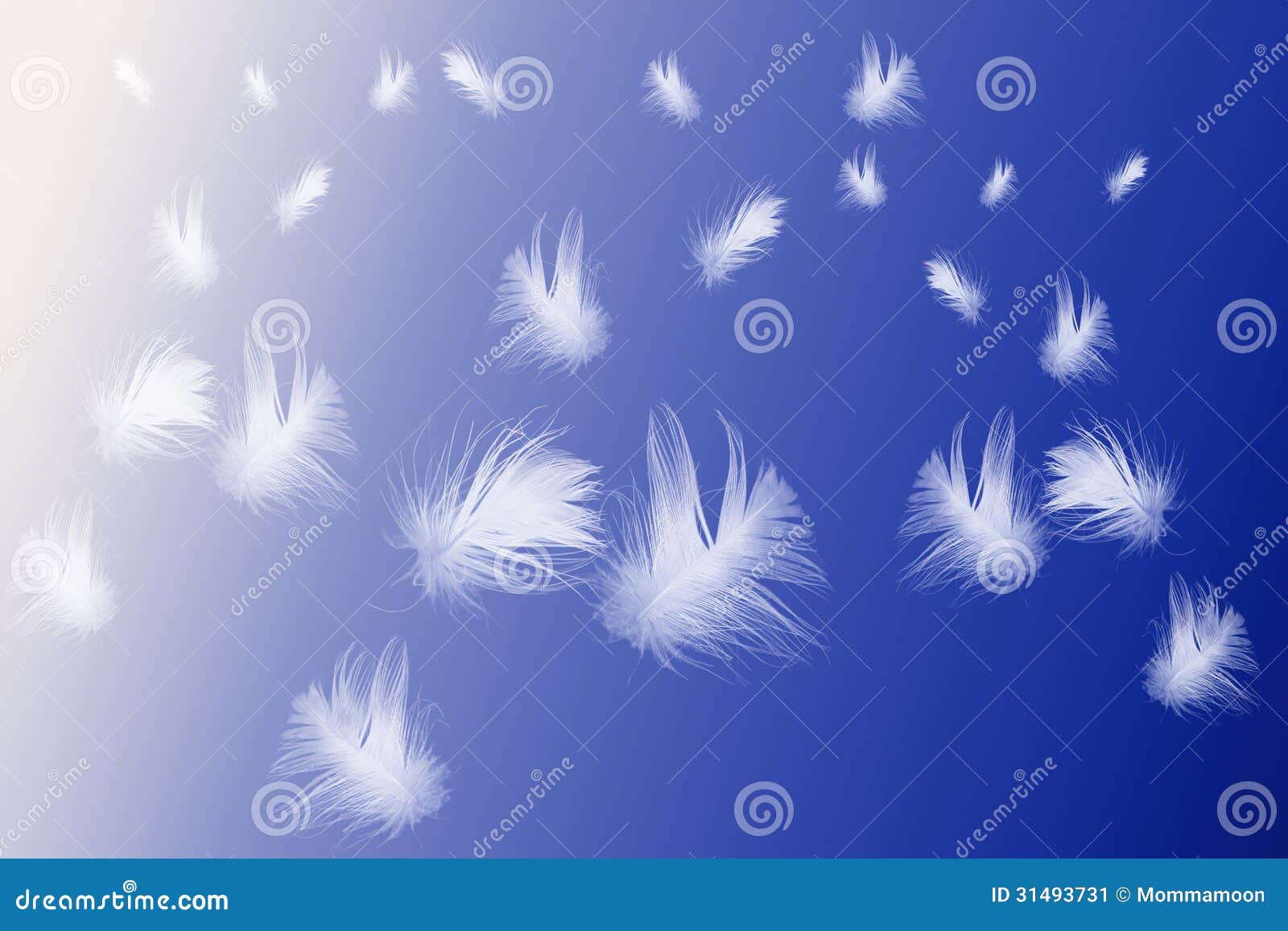 Floating Feathers Stock Illustrations – 861 Floating Feathers Stock ...