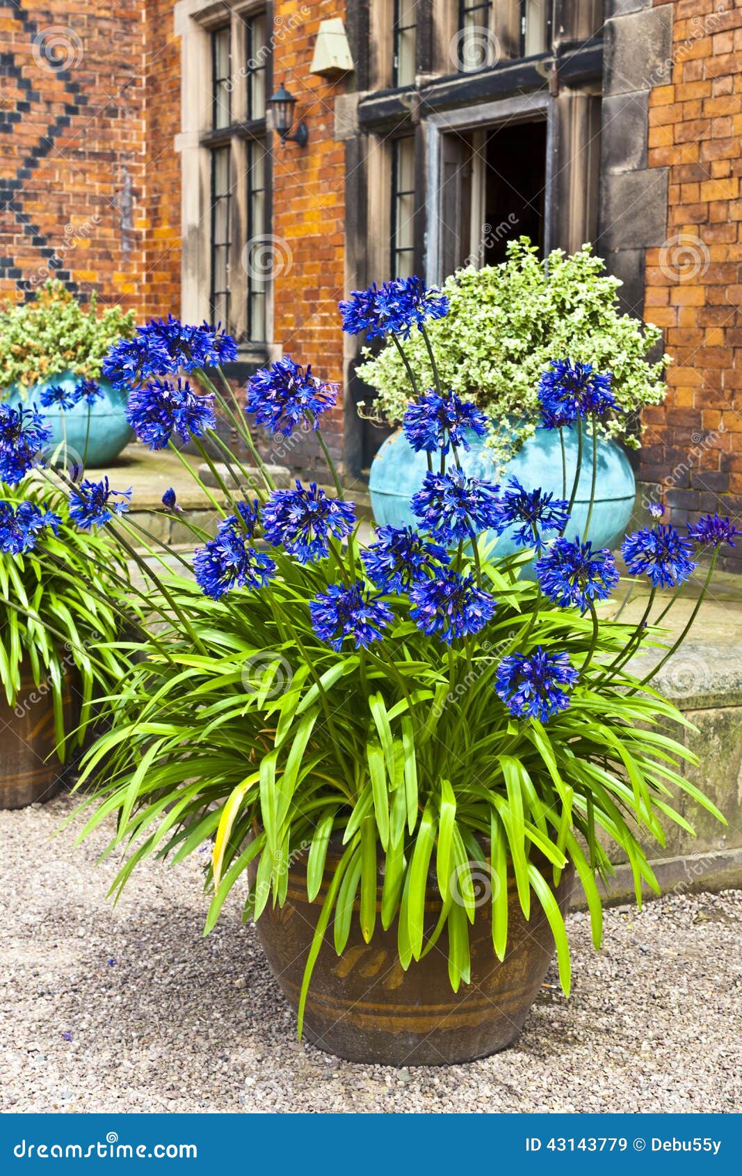 Terracotta Planter With Flowers. Royalty-Free Stock Photo ...