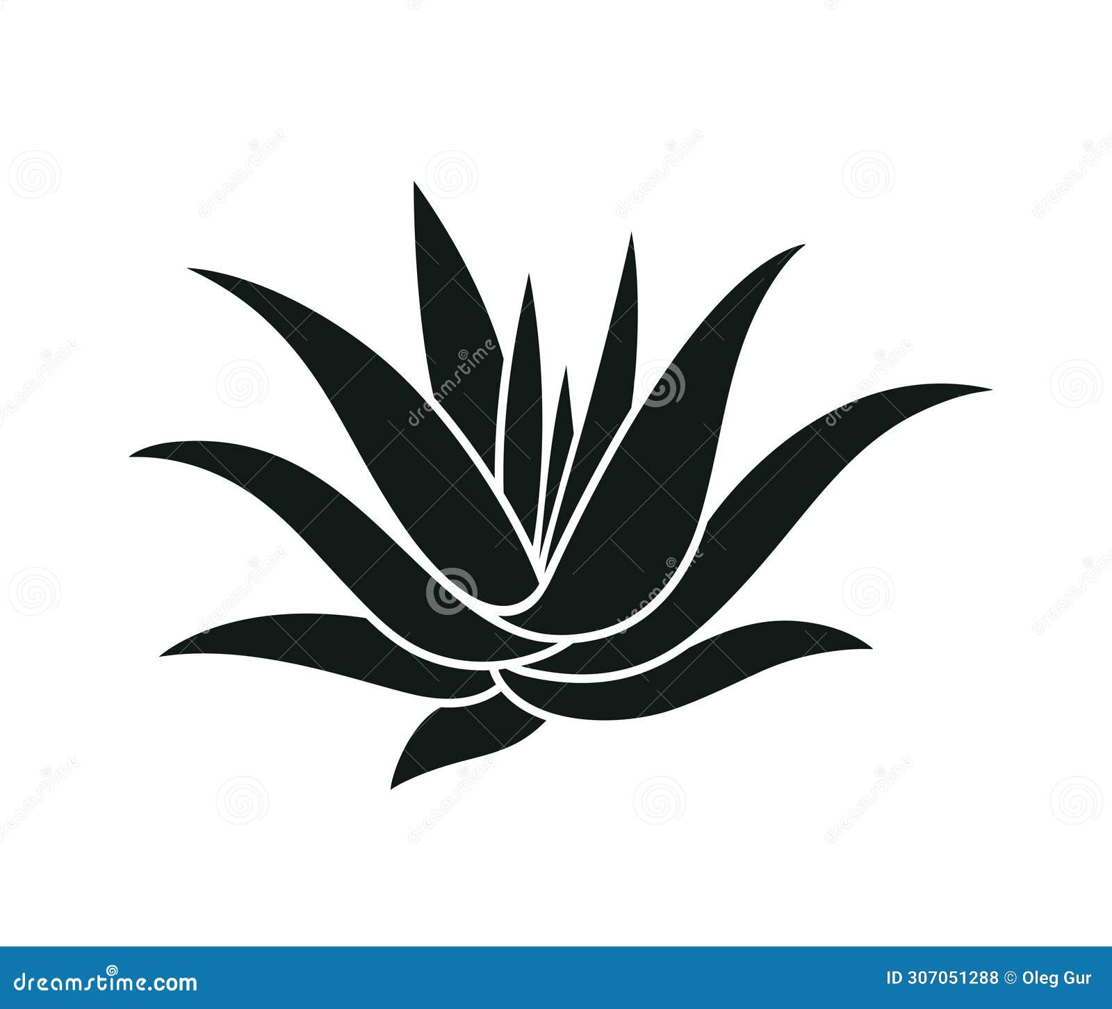 Blue Agave. Isolated Agave on White Background Stock Vector ...