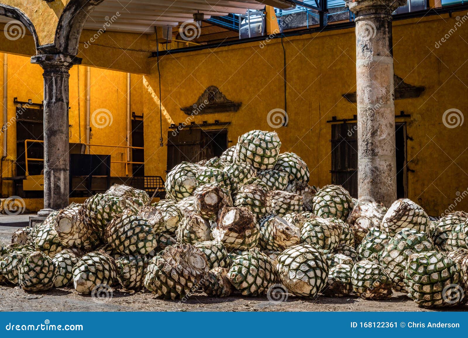 Oven With The Agave Pine Aka Pinas At The Process Of Tequila Production ...