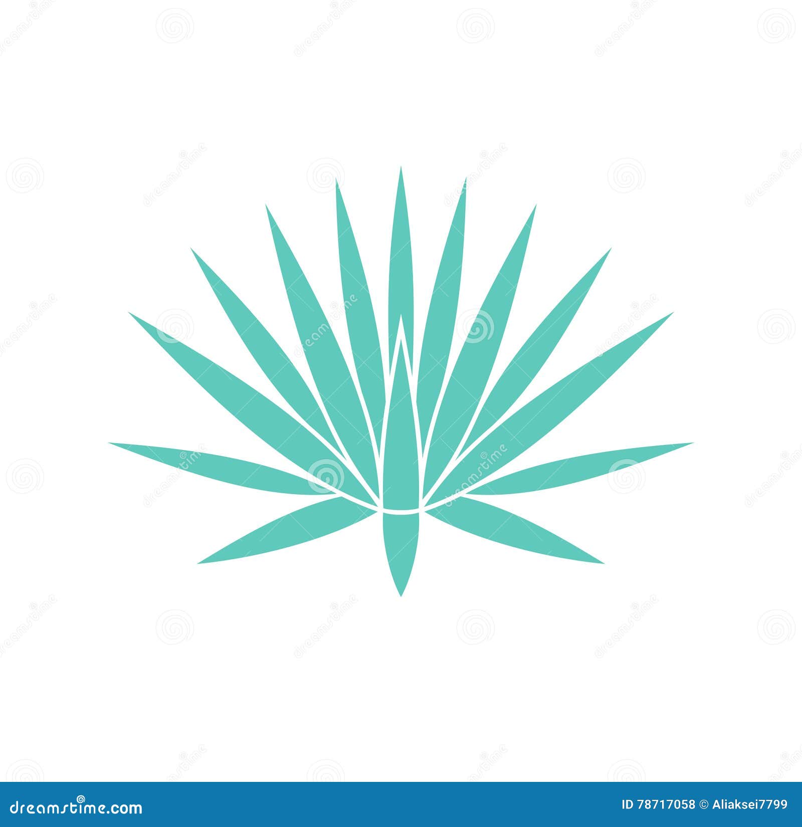 Agave Cartoons, Illustrations & Vector Stock Images - 18324 Pictures to ...