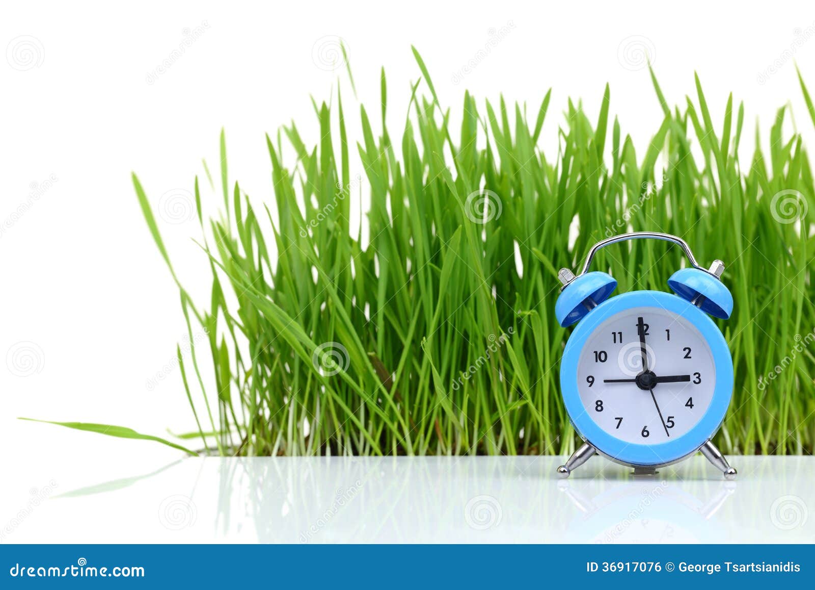 Blue Alarm Clock with Grass Stock Photo - Image of economy, grass: 36917076