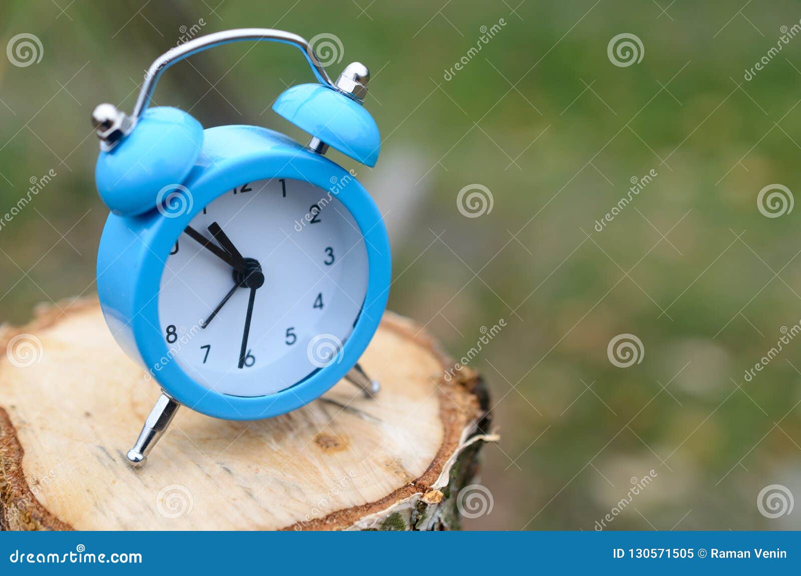 A Blue Alarm Clock Stands on the Surface of a Felled Tree Stump . the ...