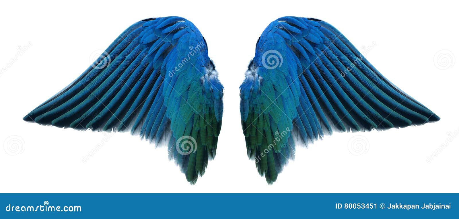 Angel Wing Waterfalls In Chiapas, Mexico Stock Photography ...