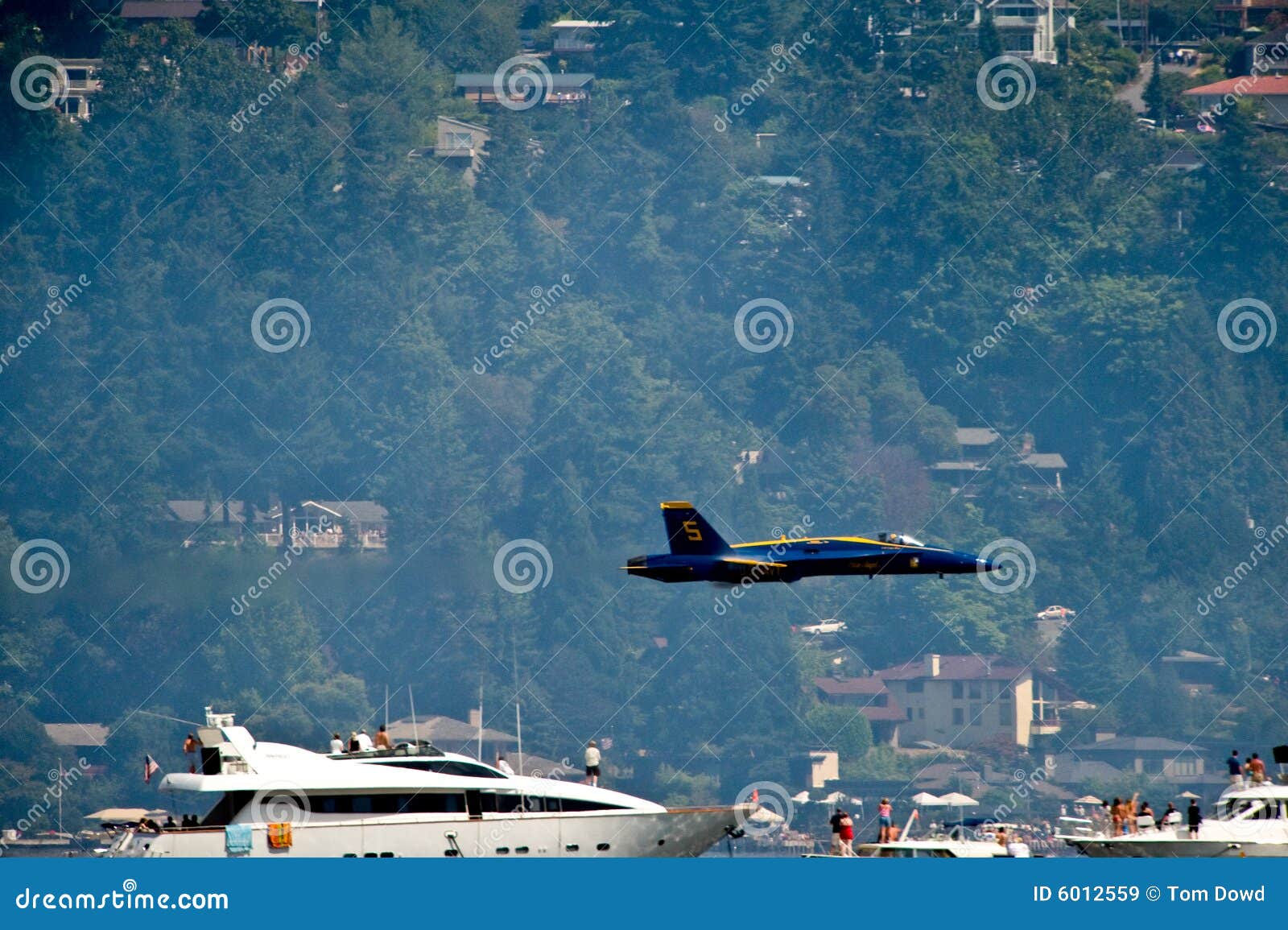 Blue Angels Low Pass editorial stock image. Image of flight - 6012559