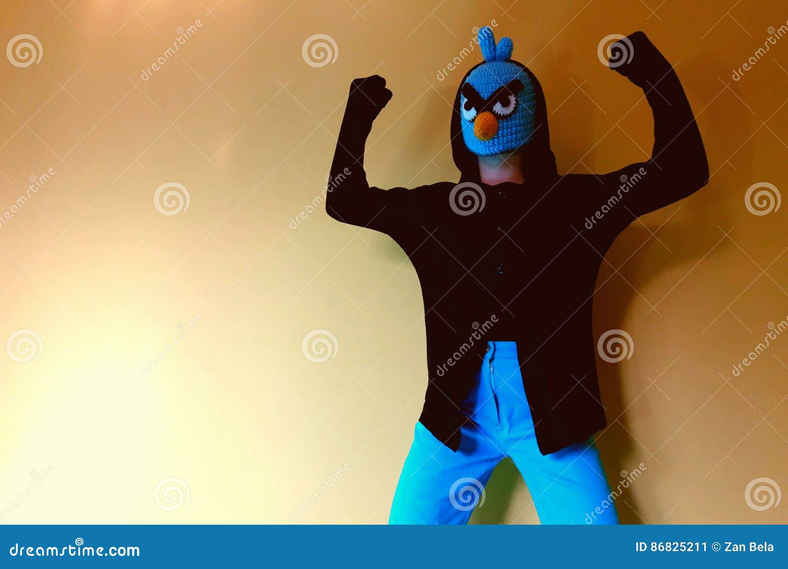 Blue Angry Bird Boxing Winner Editorial Photo - Image of bird, bluebird ...