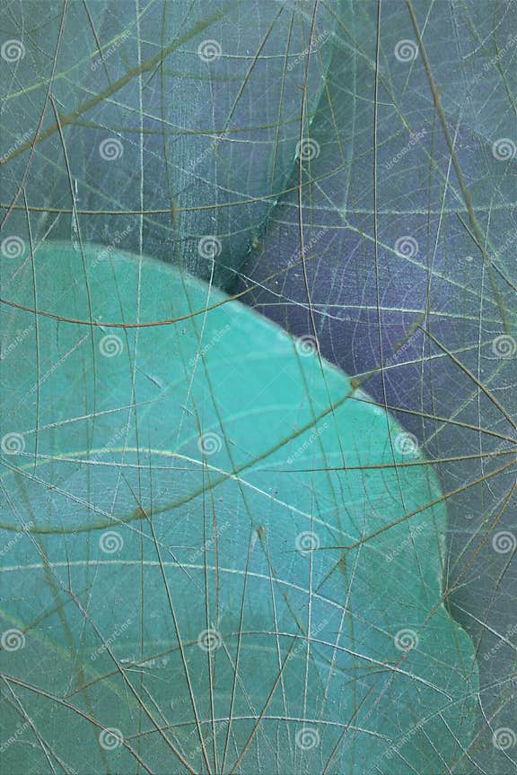 Blue and Aqua Webbed Background Stock Image - Image of poster, card ...