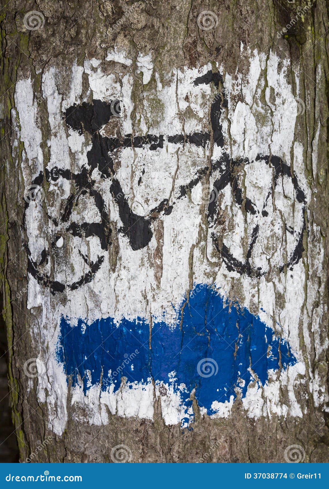 Blue Arrow Painted on Tree Bark Stock Photo - Image of forest, signpost ...