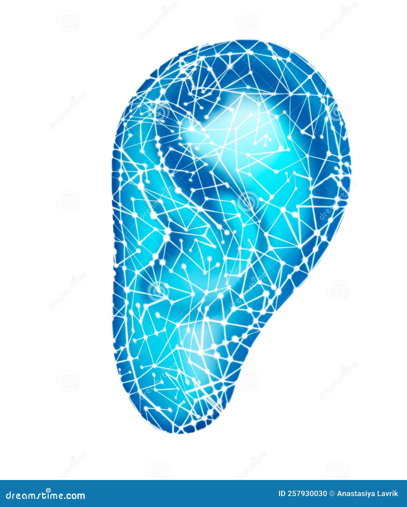 Blue Auditory System 3d Illustration with Isolated on White Background ...