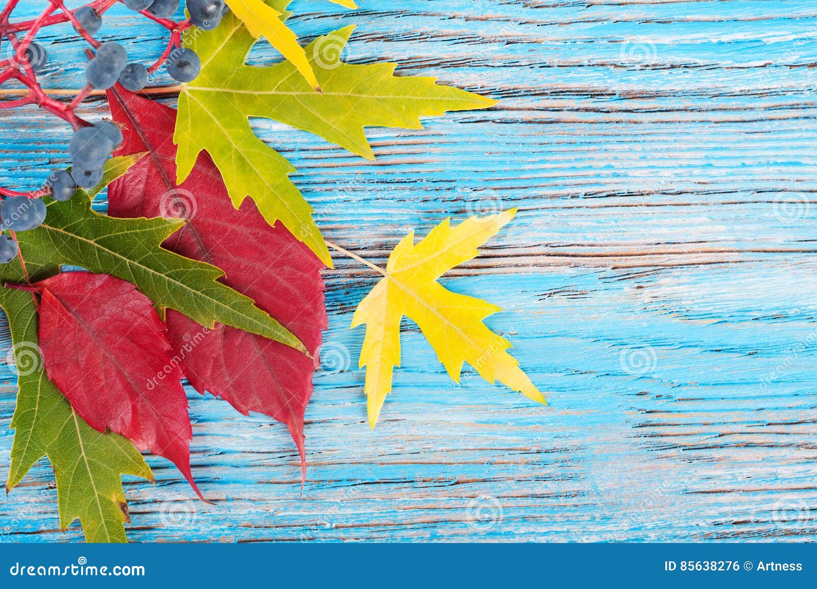 Blue autumn background stock photo. Image of decorative - 85638276