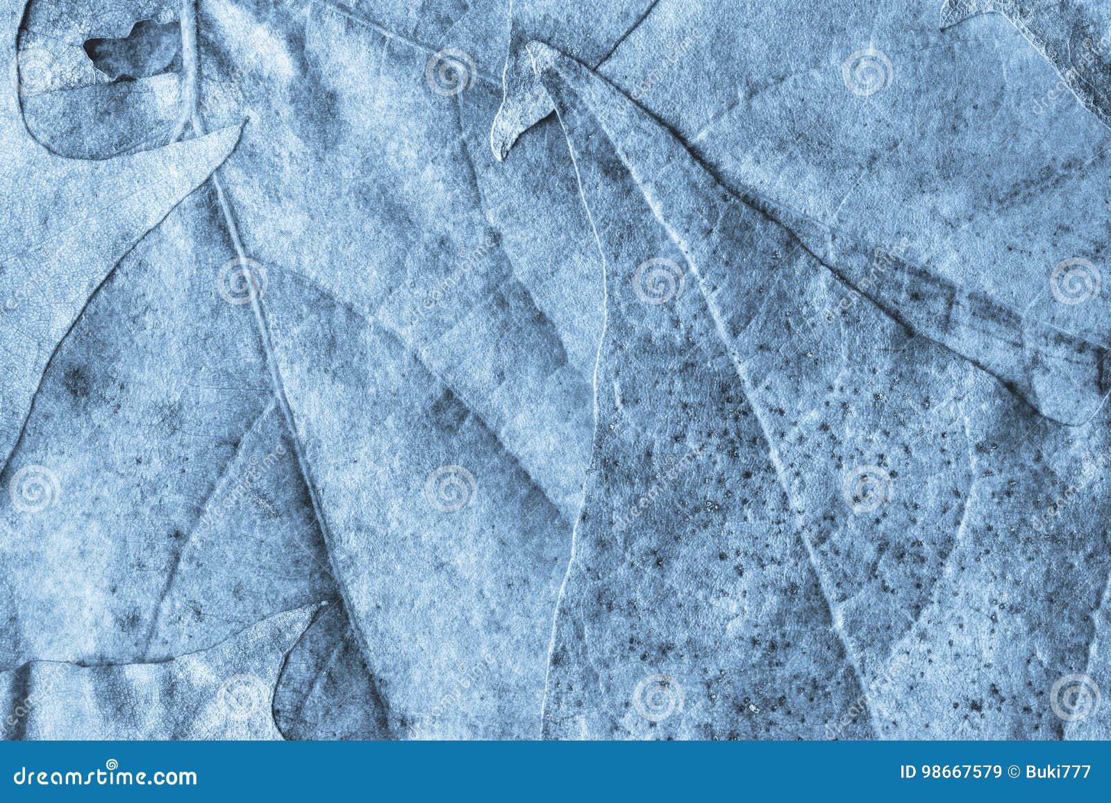 Blue Autumn Foliage Background Grunge Texture Stock Image - Image of ...