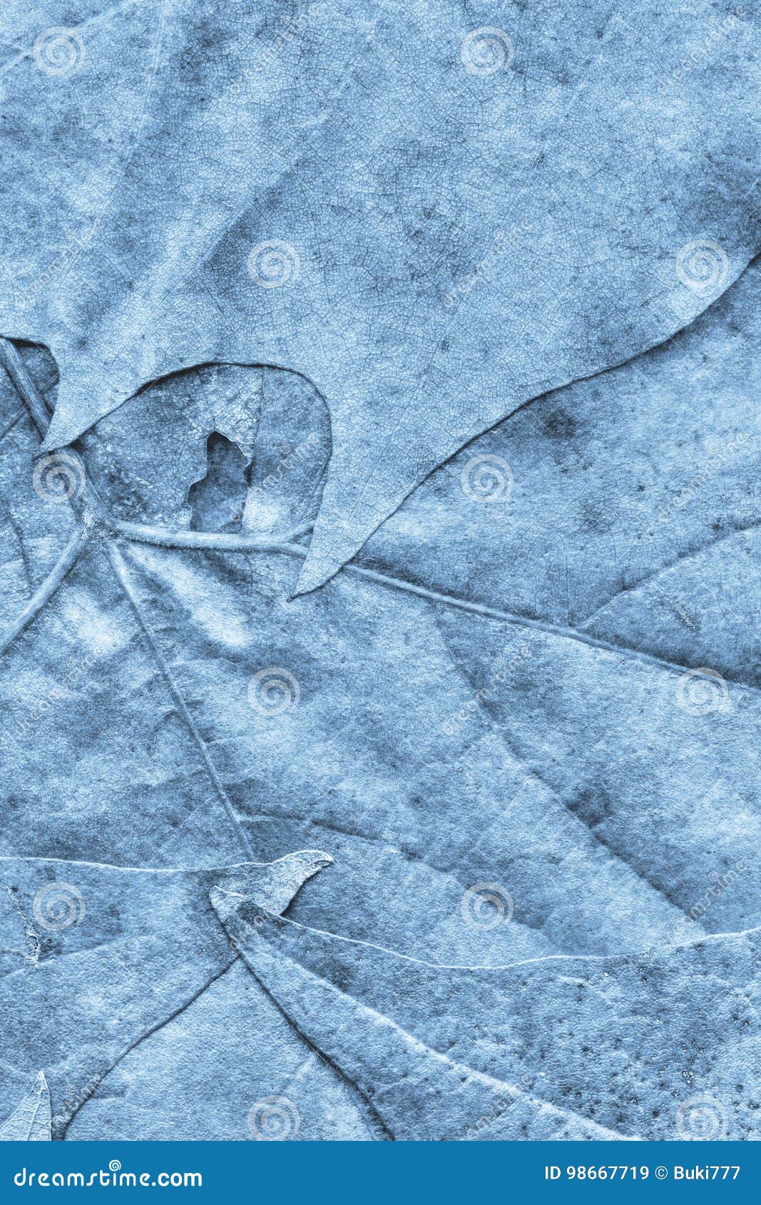 Blue Autumn Foliage Background Grunge Texture Stock Image - Image of ...