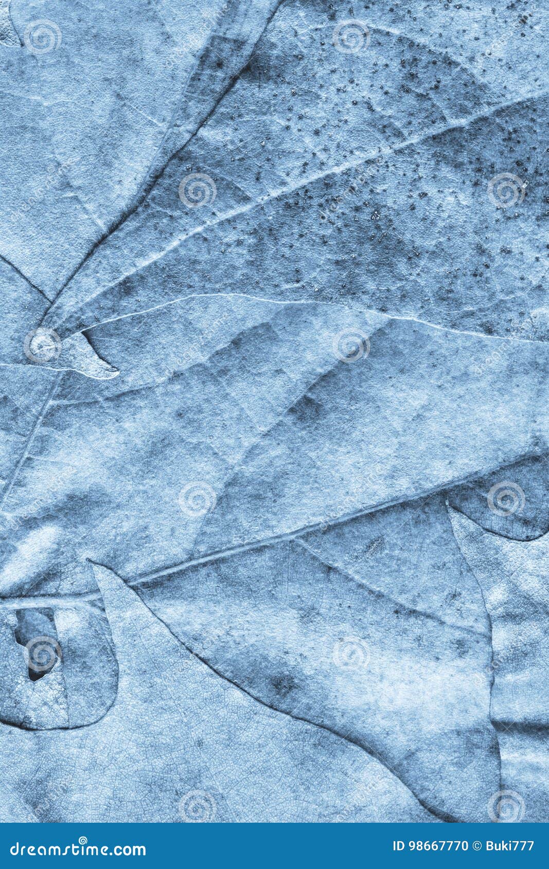 Blue Autumn Foliage Background Grunge Texture Stock Photo - Image of ...