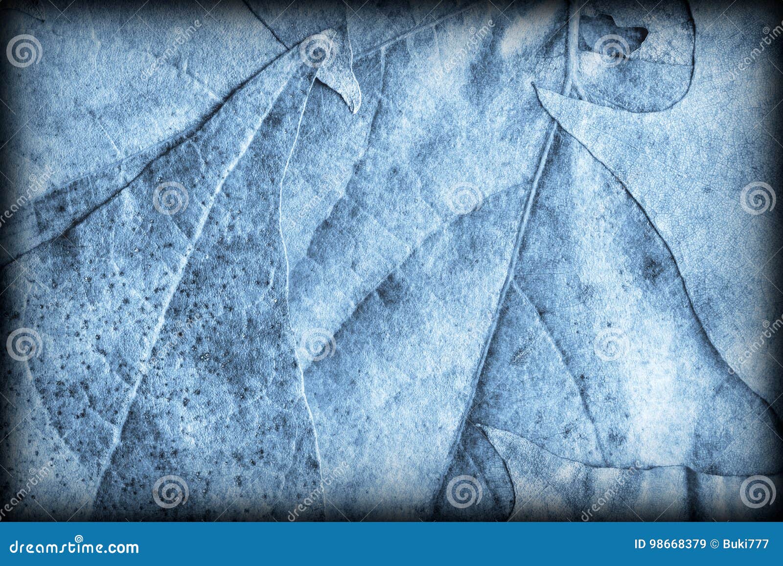 Blue Autumn Foliage Background Vignetted Grunge Texture Stock Image ...