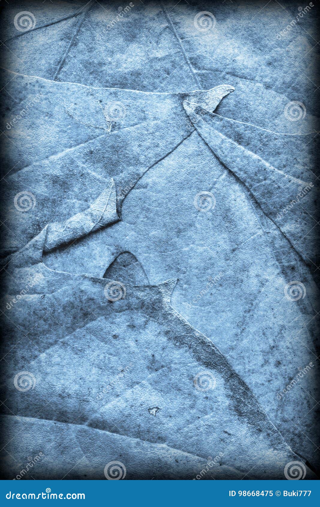 Blue Autumn Foliage Background Vignetted Grunge Texture Stock Image ...